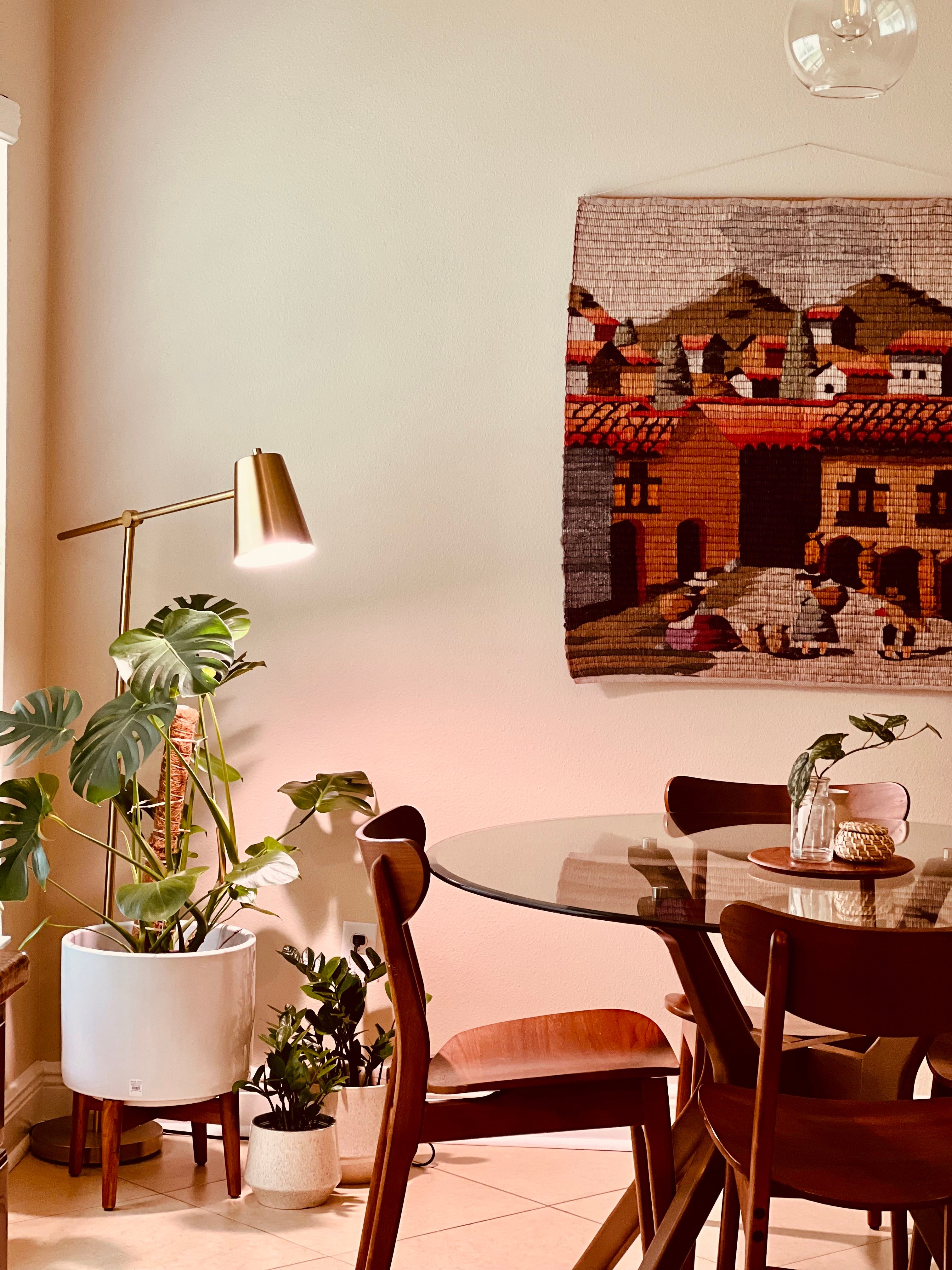 Splitting my coffee plants surprise