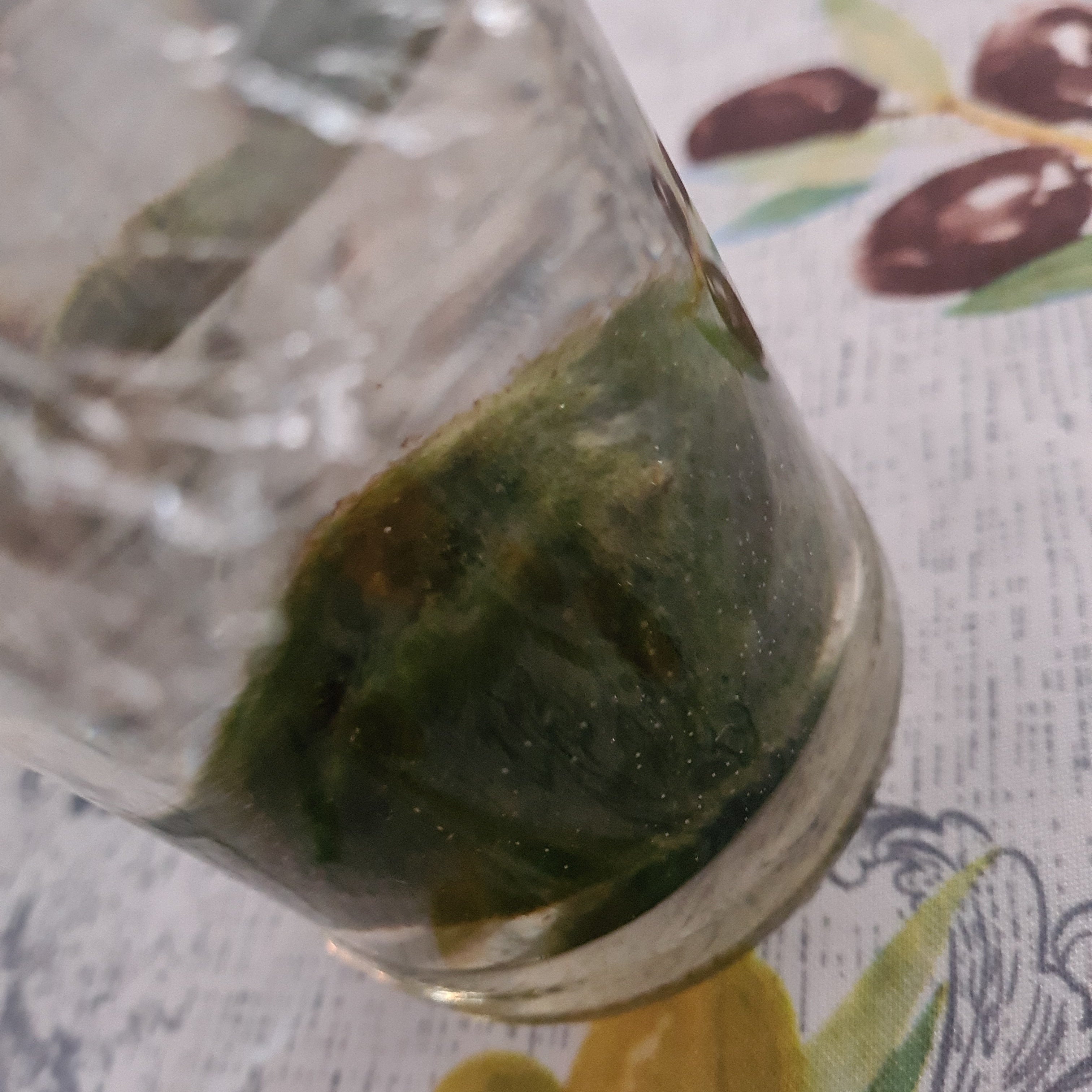 Fertilizing My Marimo to Double Its Growth