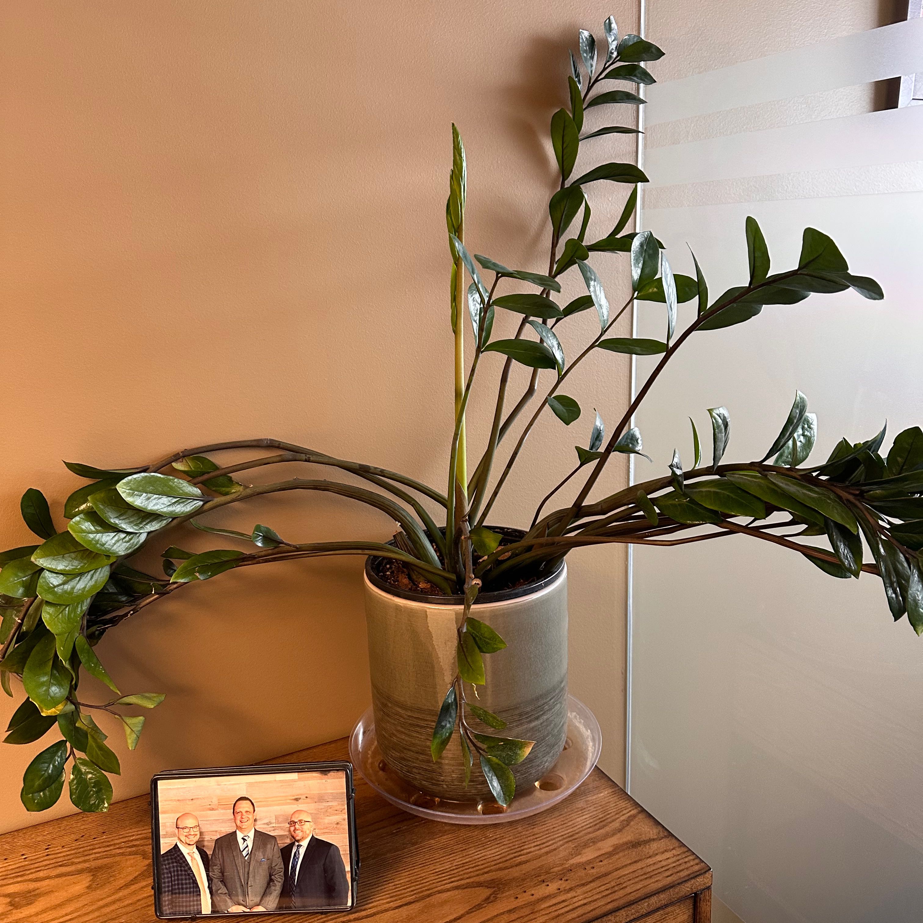 10 Benefits Of Having A Cathedral Windows