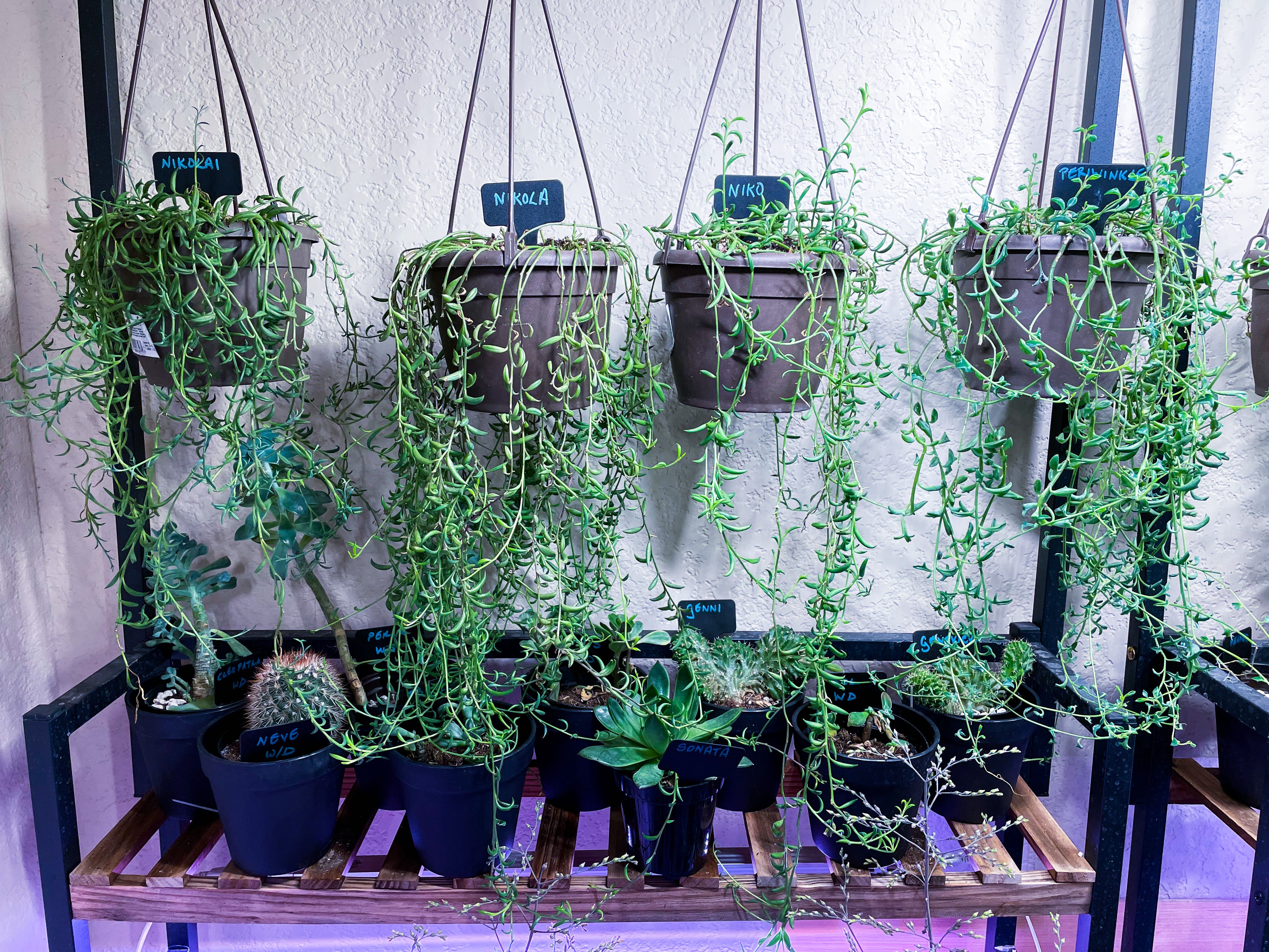 Strings of things looking better!