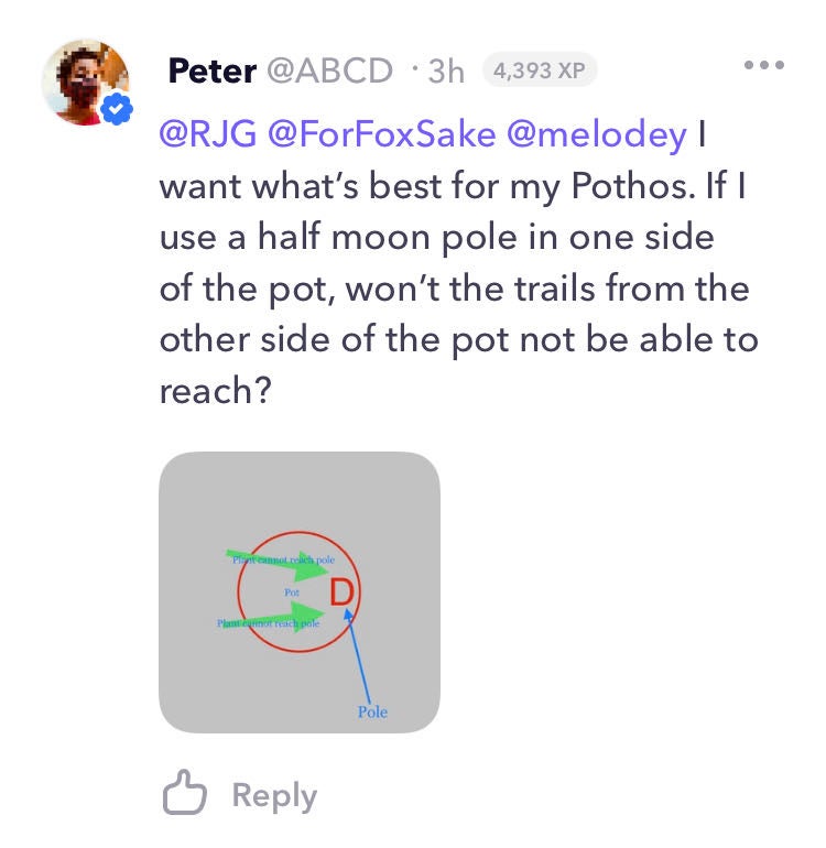 Best shape for moss pole shell?