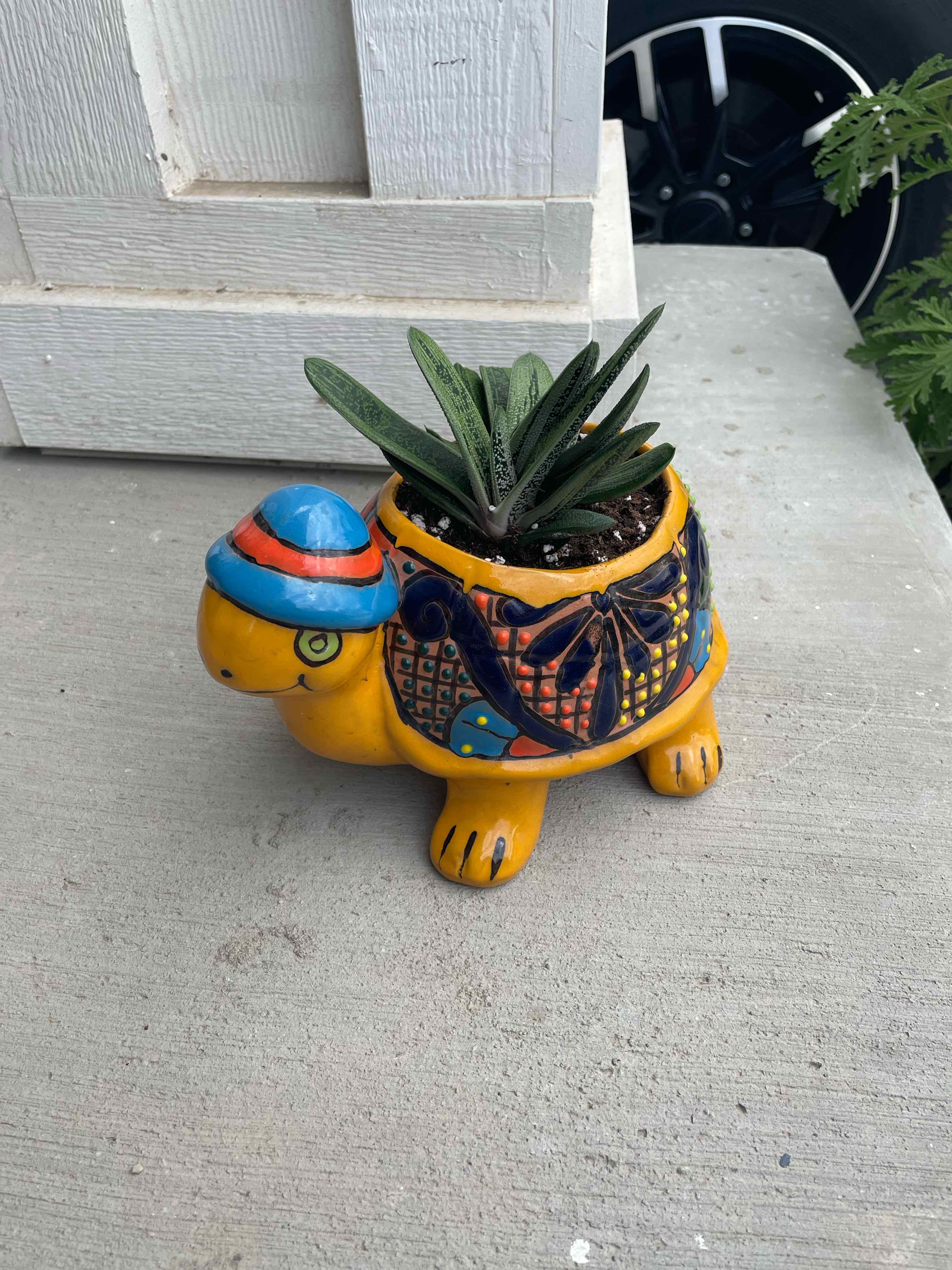 🐂 Ox Tongue - Fertilizing 101