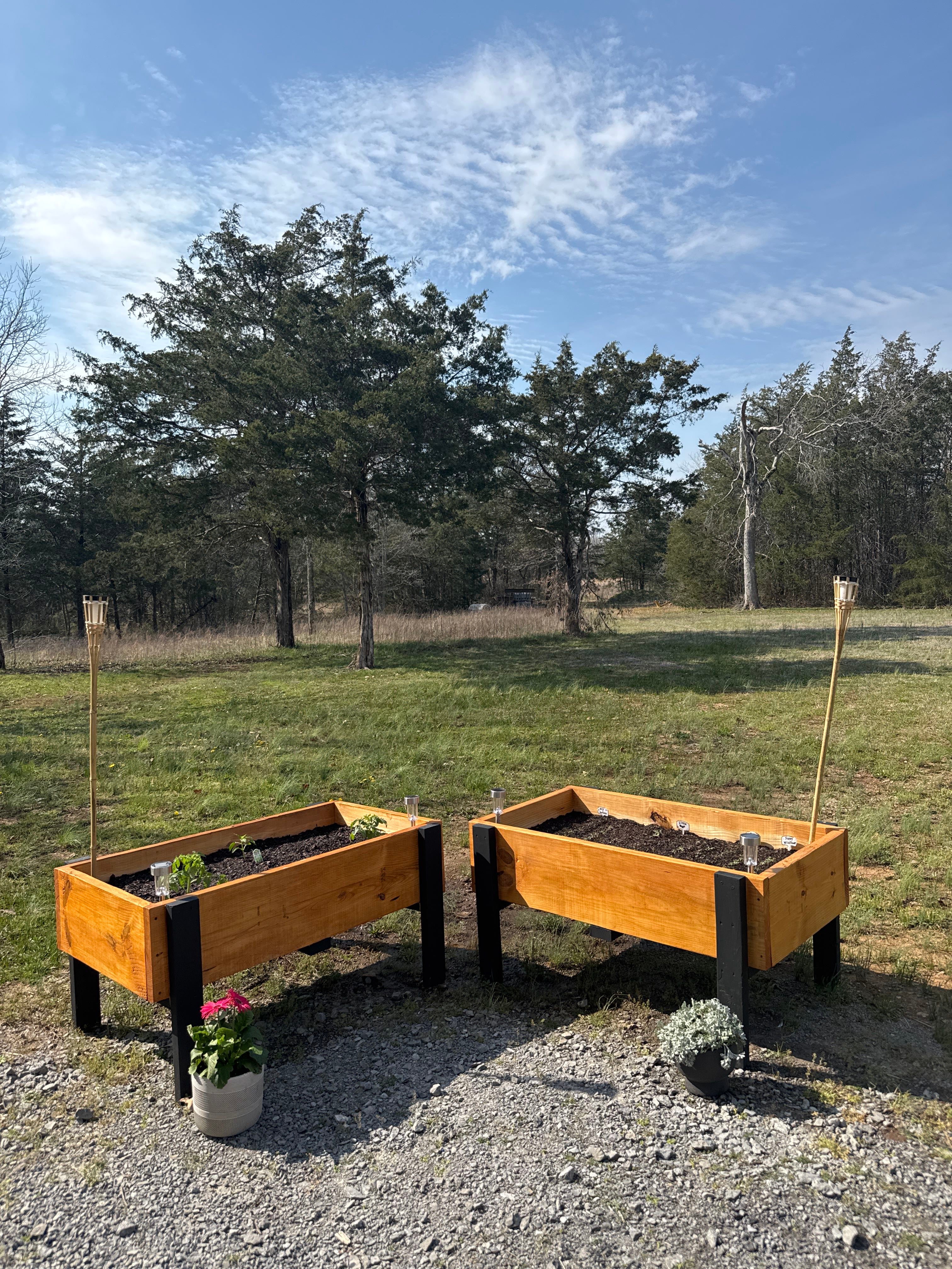 Everything You Need to Know About Maris Piper Potato 🥔