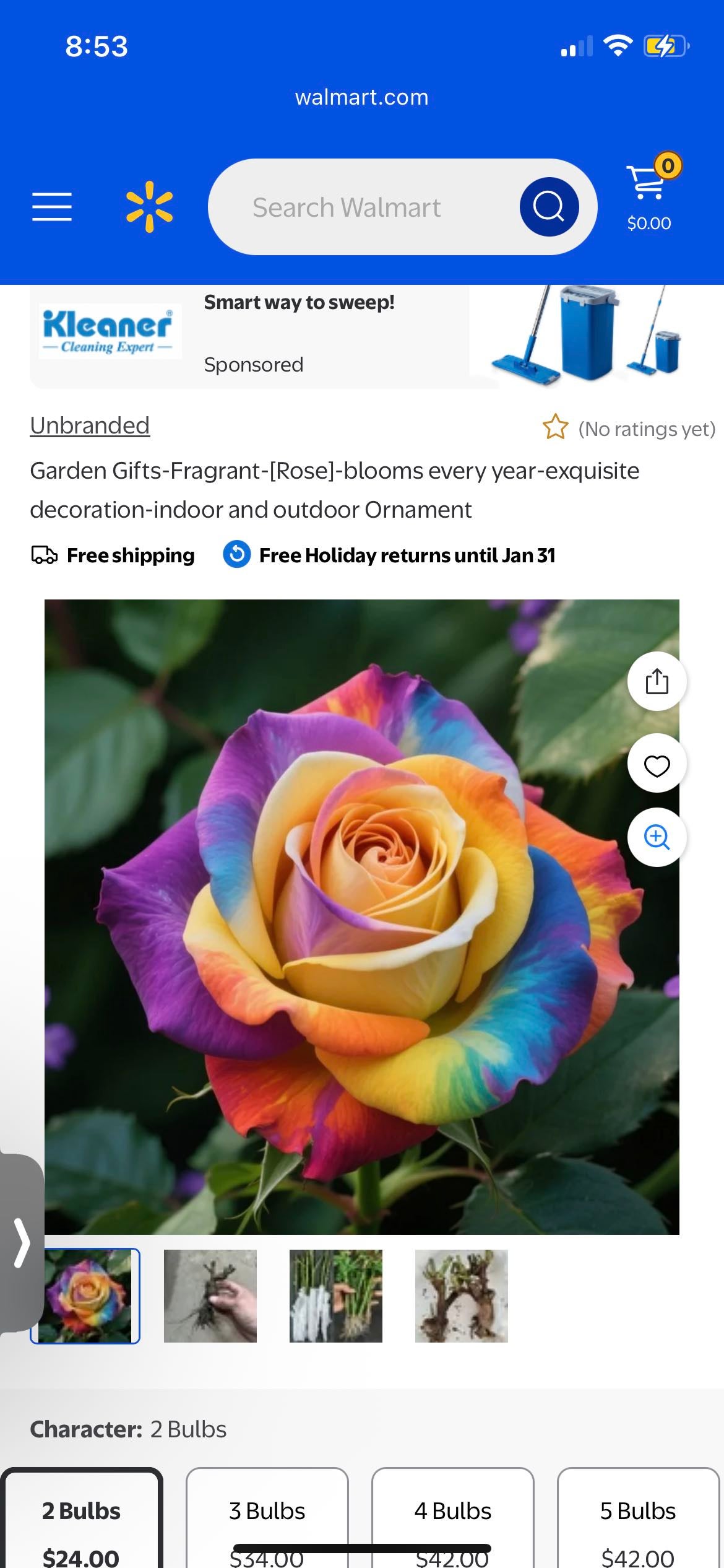 🌹 5 Companions to Boost Your Hybrid Tea Rose's Growth