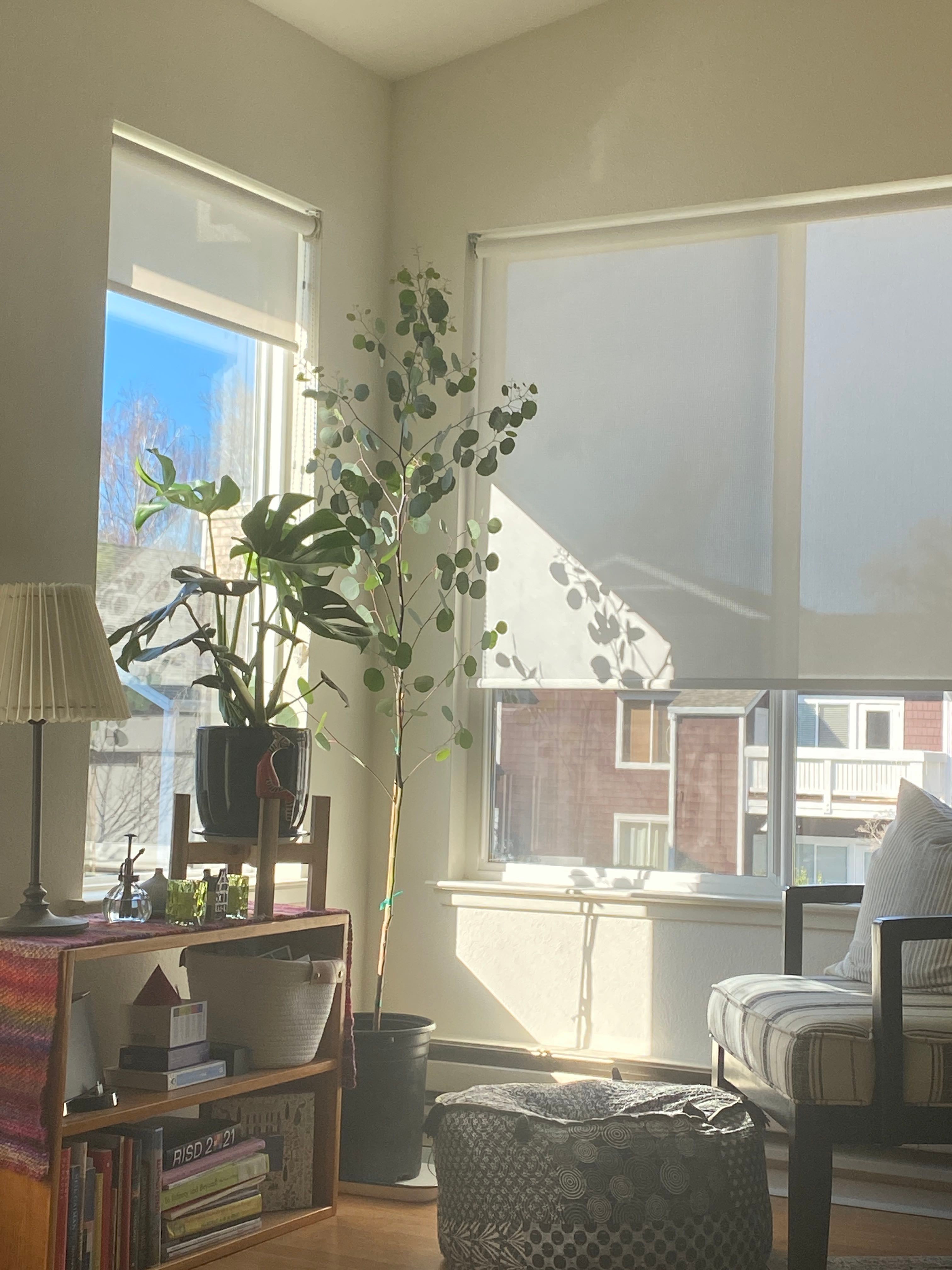 Redbox Plant Care: Water, Light, Nutrients | Greg App 🌱