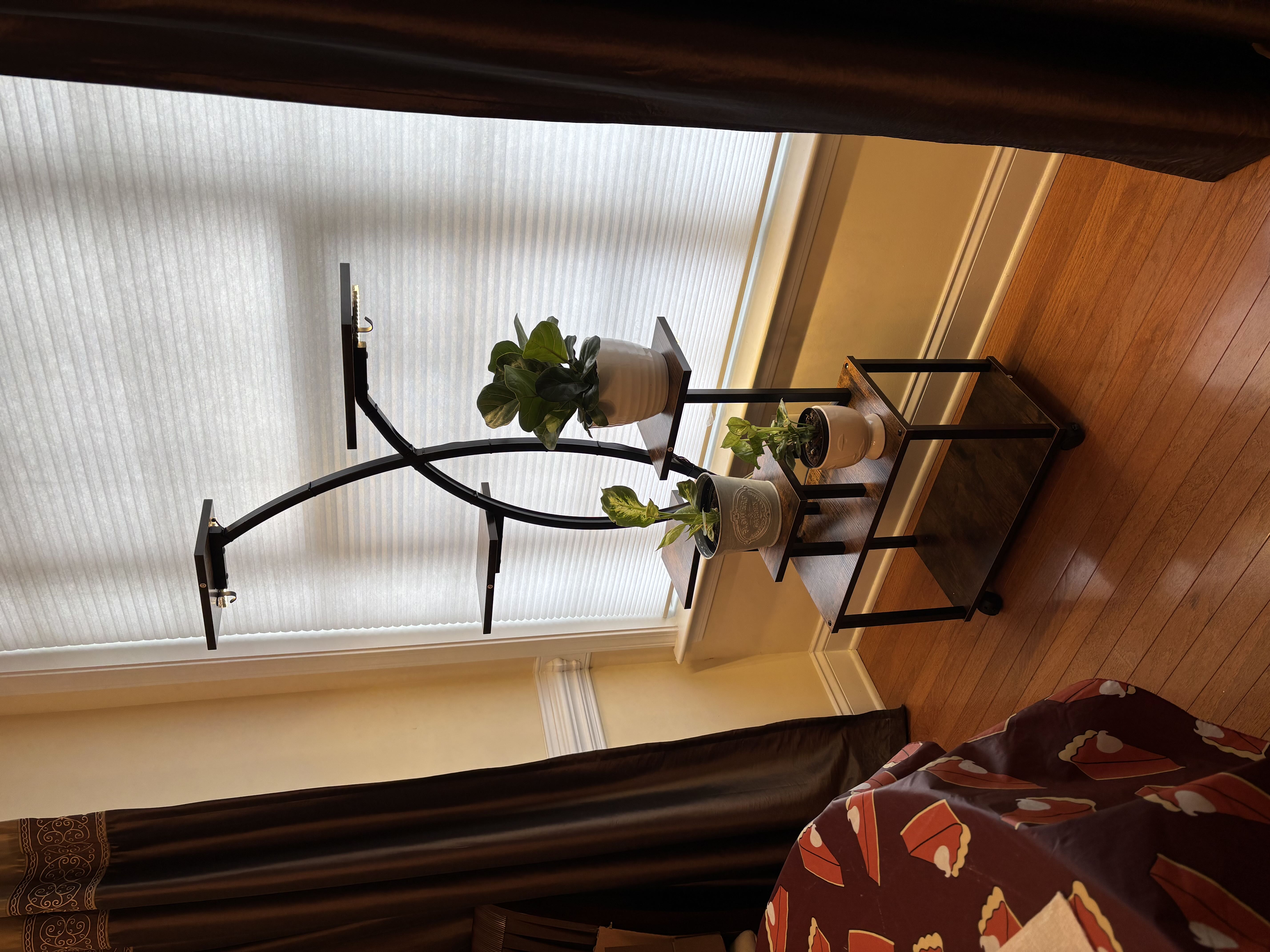 My honey ️ just put together my new plant stand 🪴 that w...