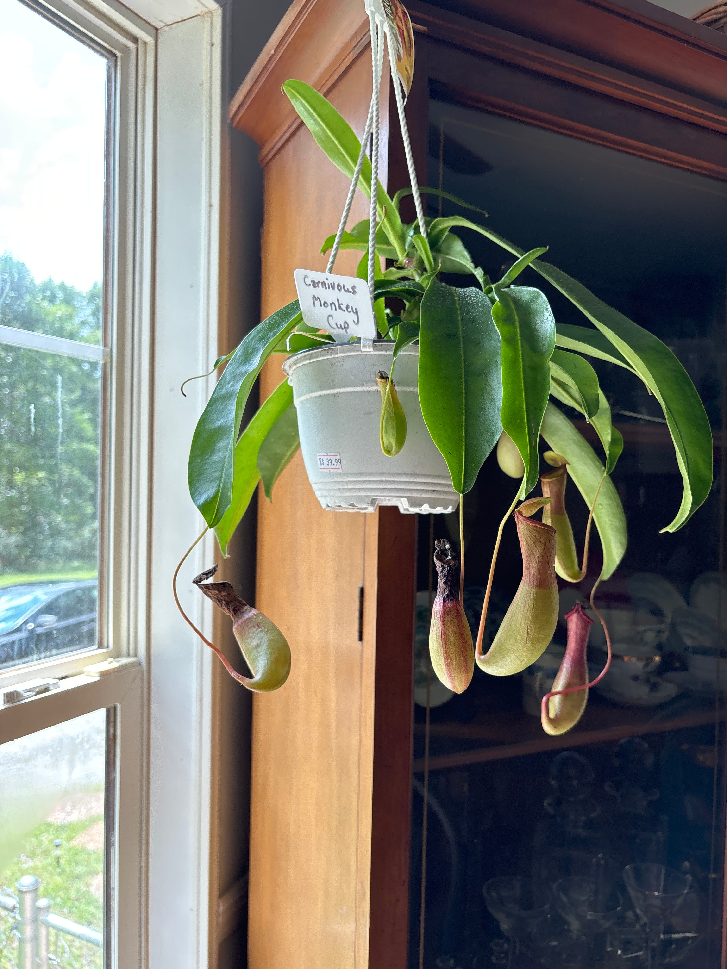 Hello everybody!! #GregGang I’m so super excited!! My gir...