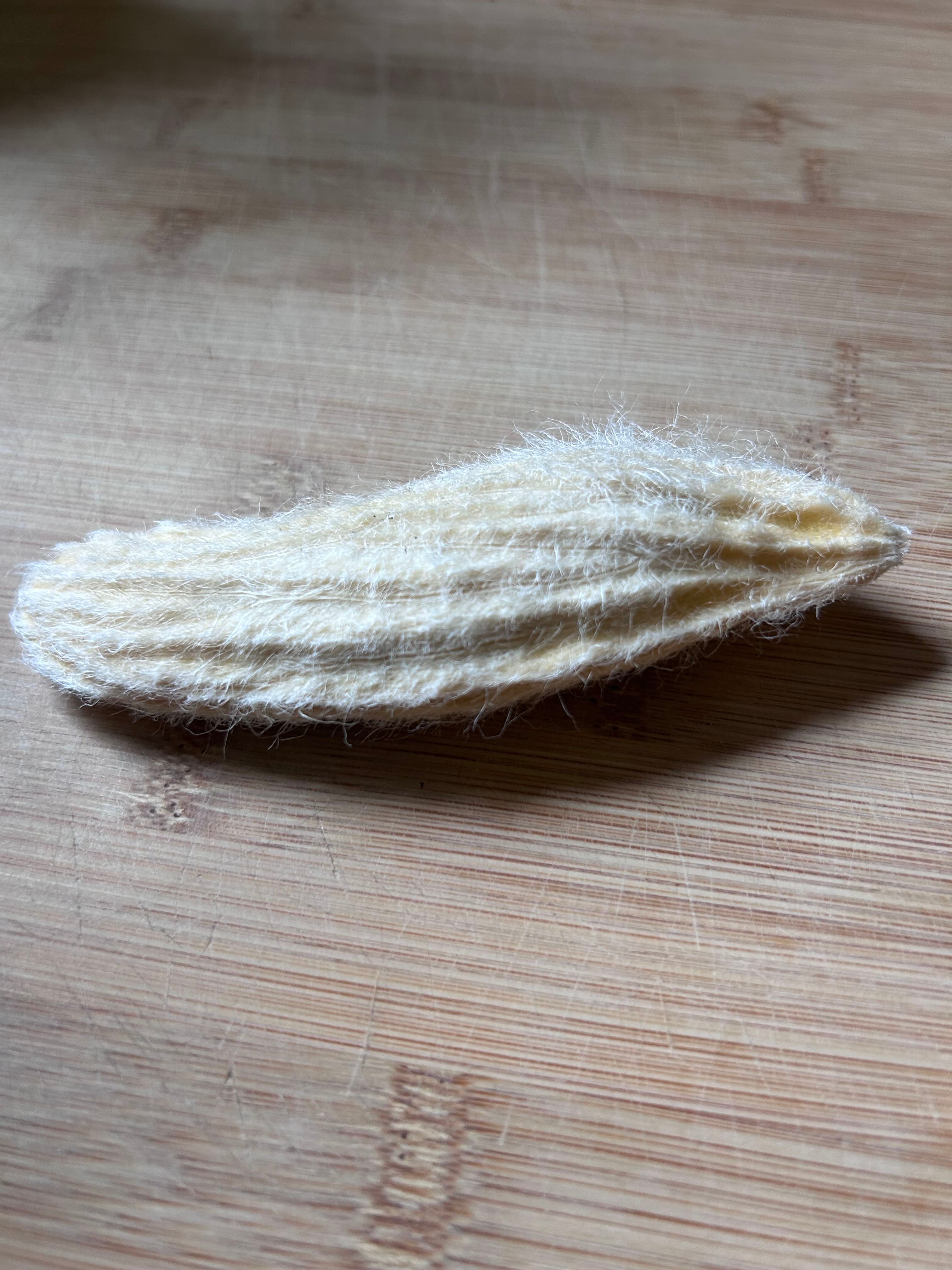 Diagnosing mango root rot