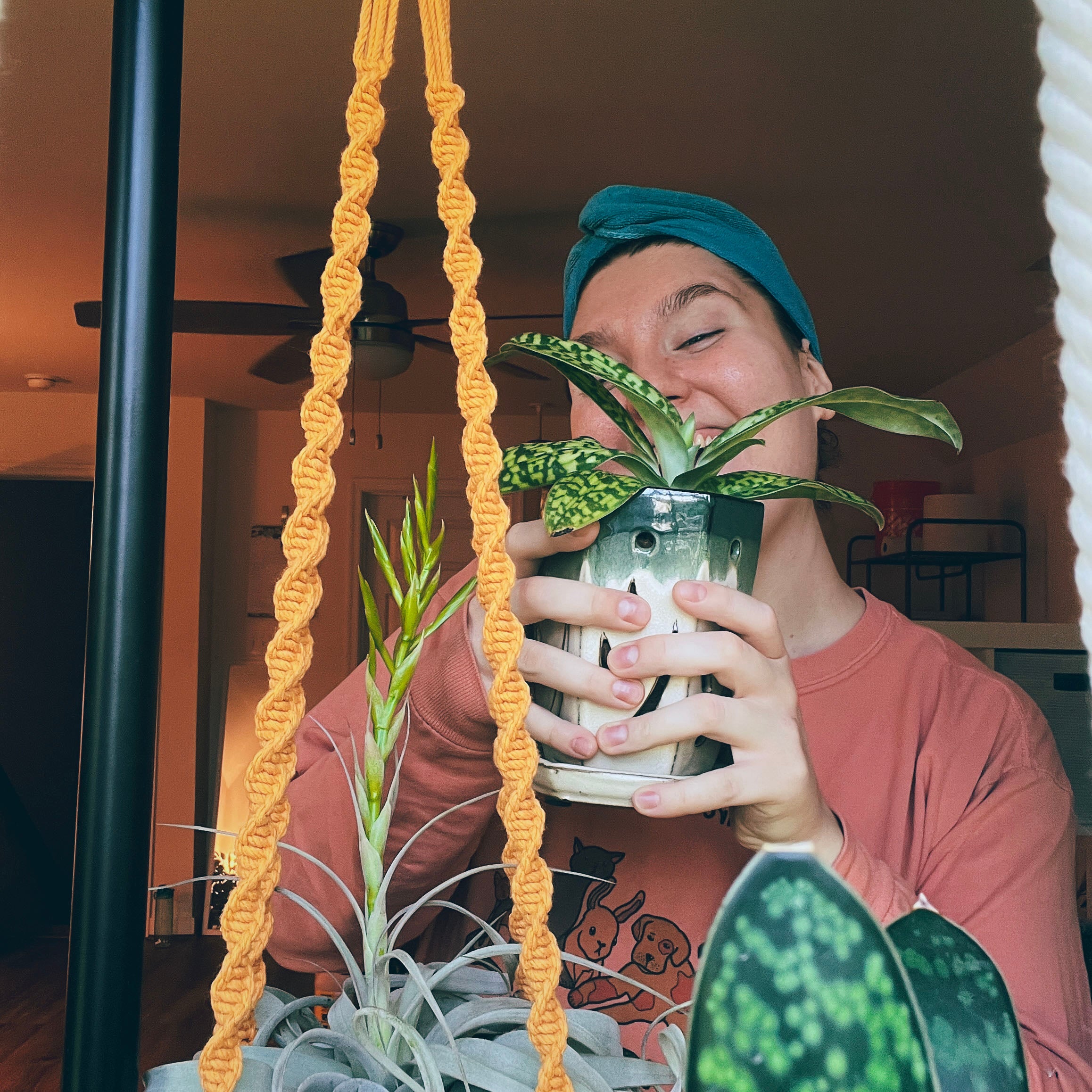 🌸 Paphiopedilum 'Lady Rothschild' Explained: Key Information