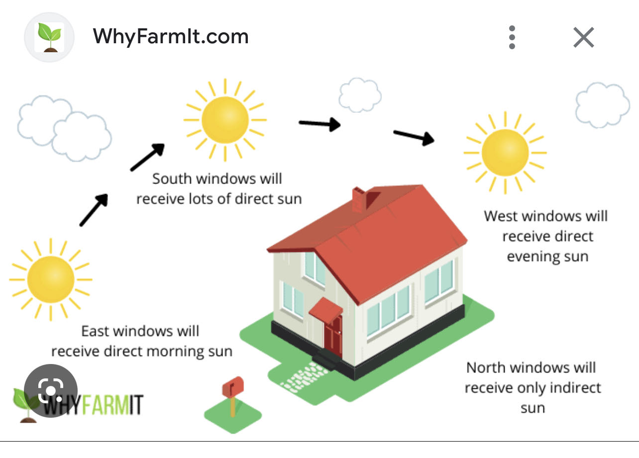 Does window location matter? I have a north window locati...