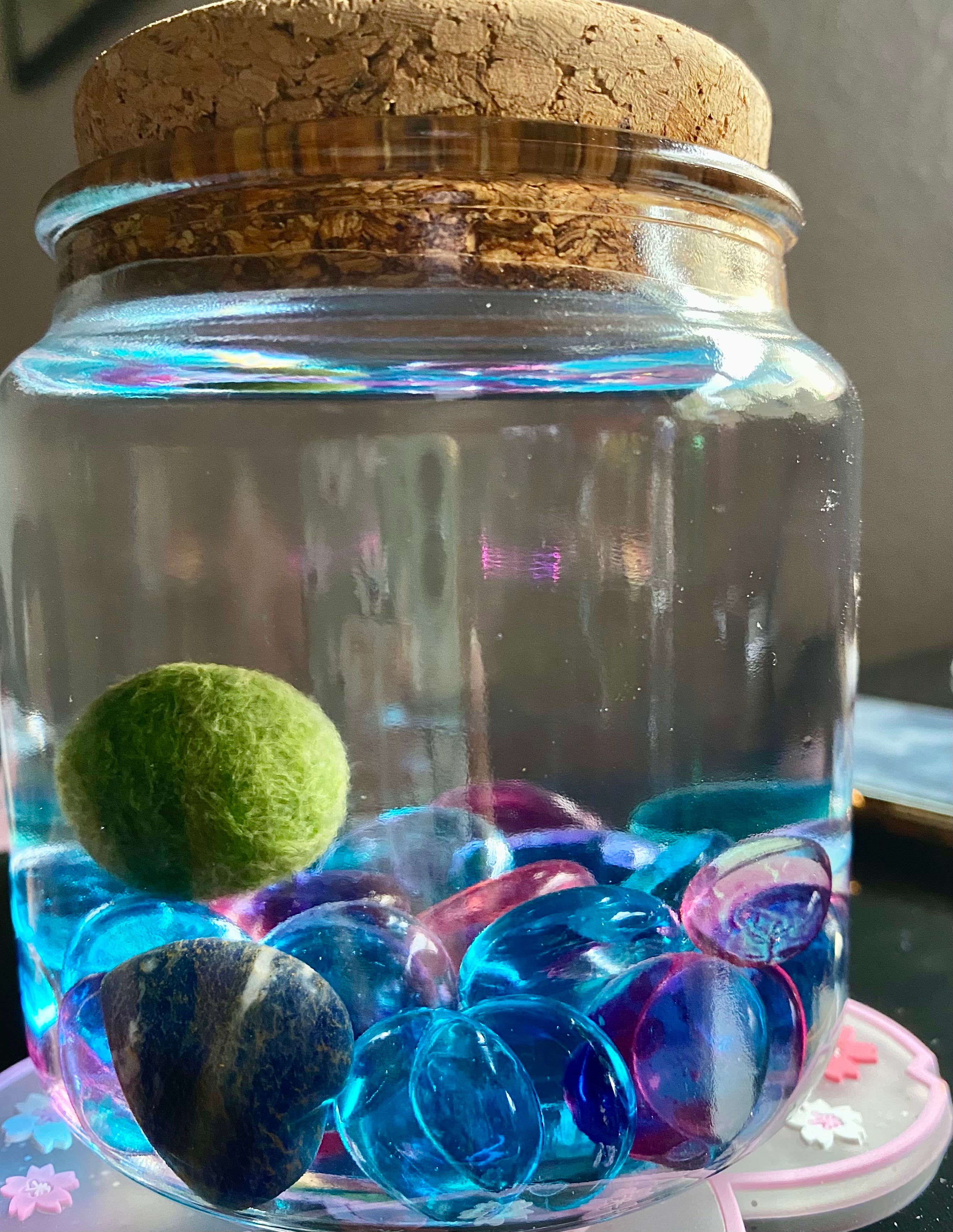 Why Are My Marimo Leaves Mushy?