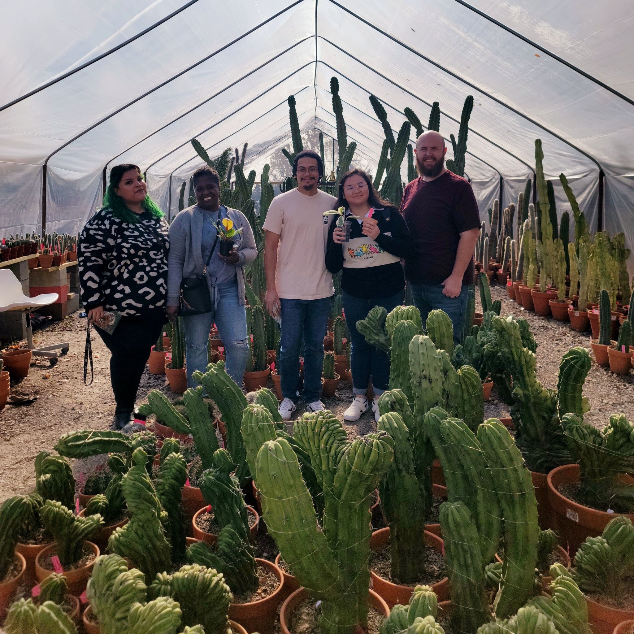 Boobie Cactus Plant Care: Water, Light, Nutrients | Greg App 🌱