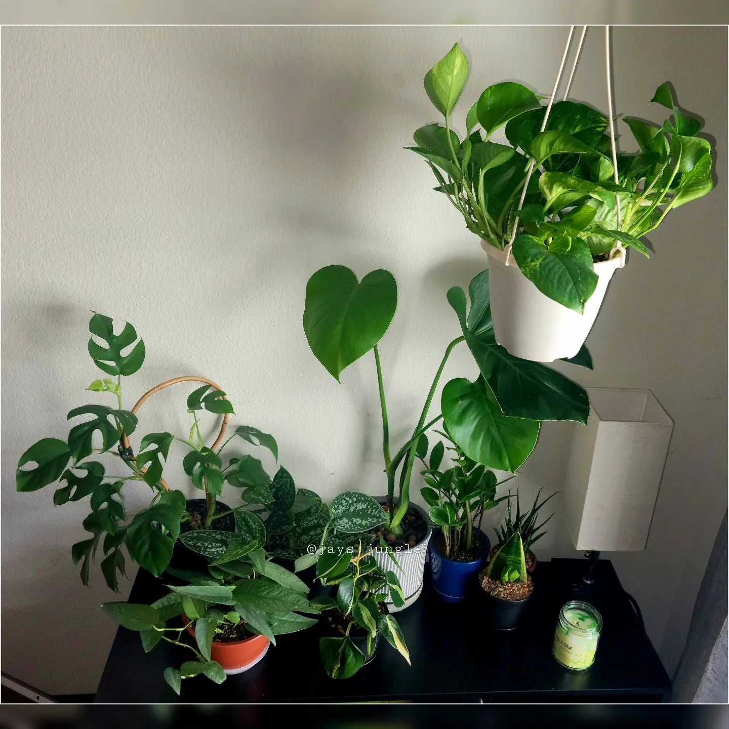 Perfect plant spot by the window!