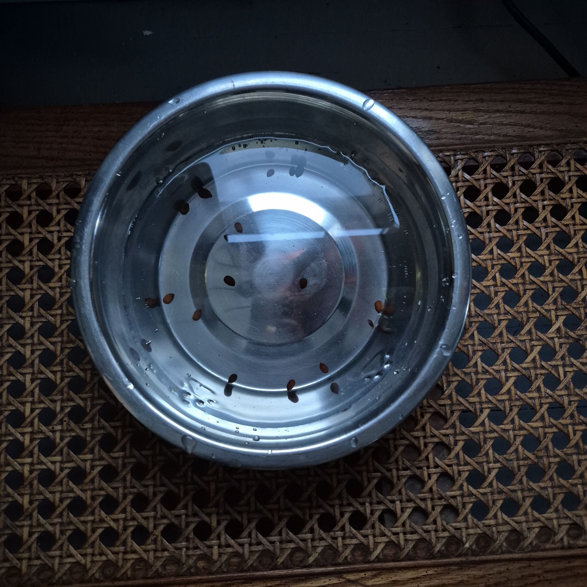 How to Care for Dwarf Lotus: Mastering Water, Sunlight & More