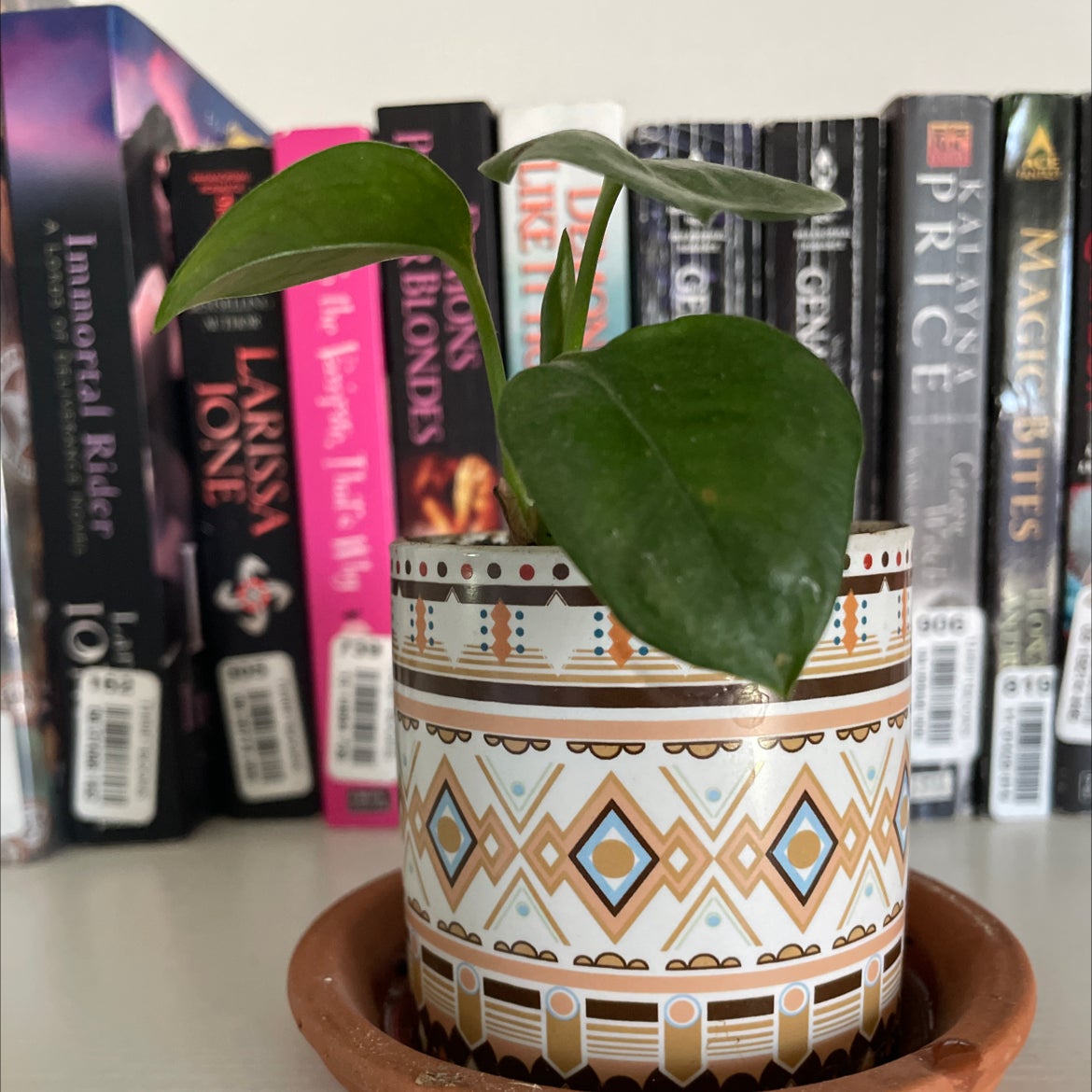 Propagating Emerald Pothos: Step-by-Step Guide