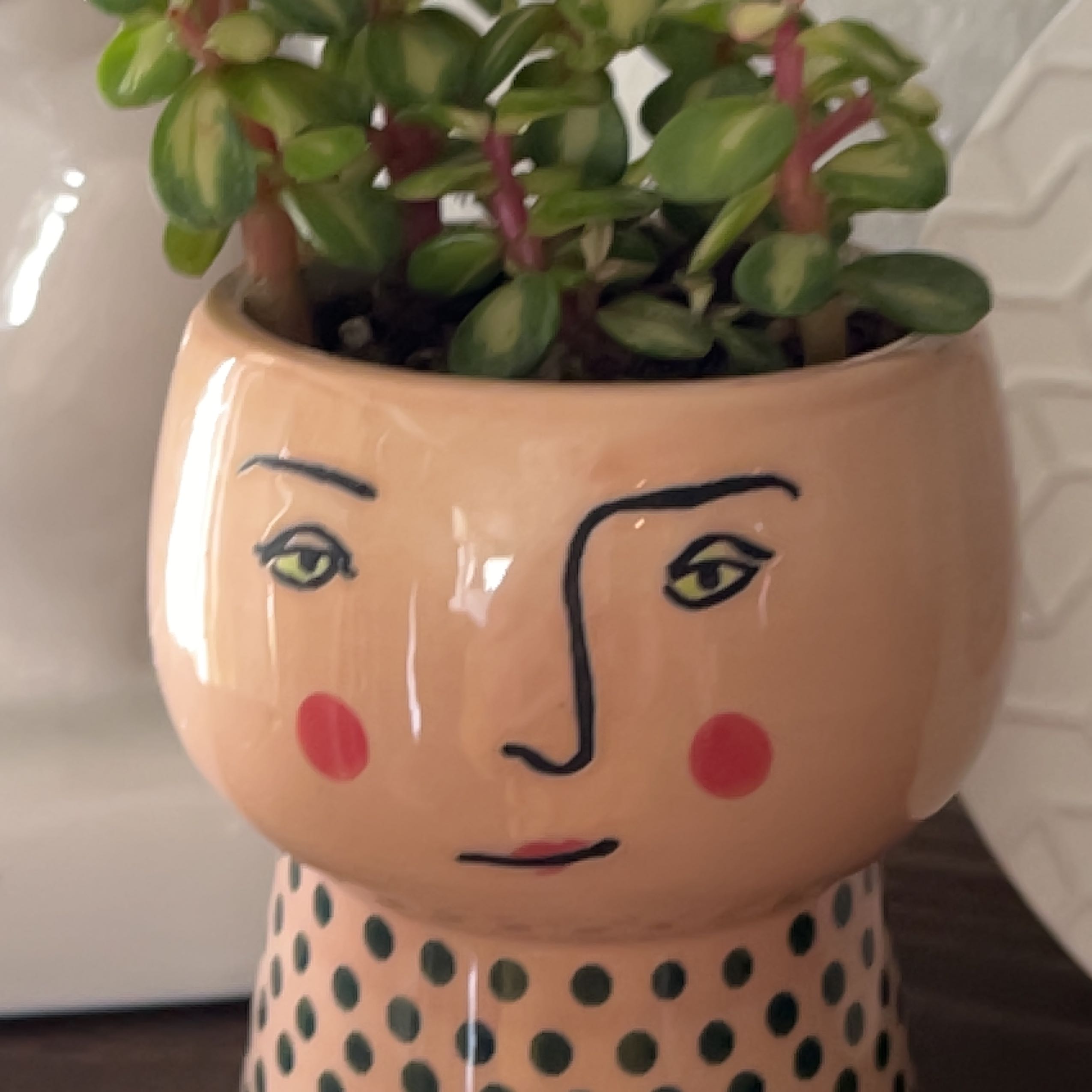 Messi | A plant by @lemoncakes on Greg