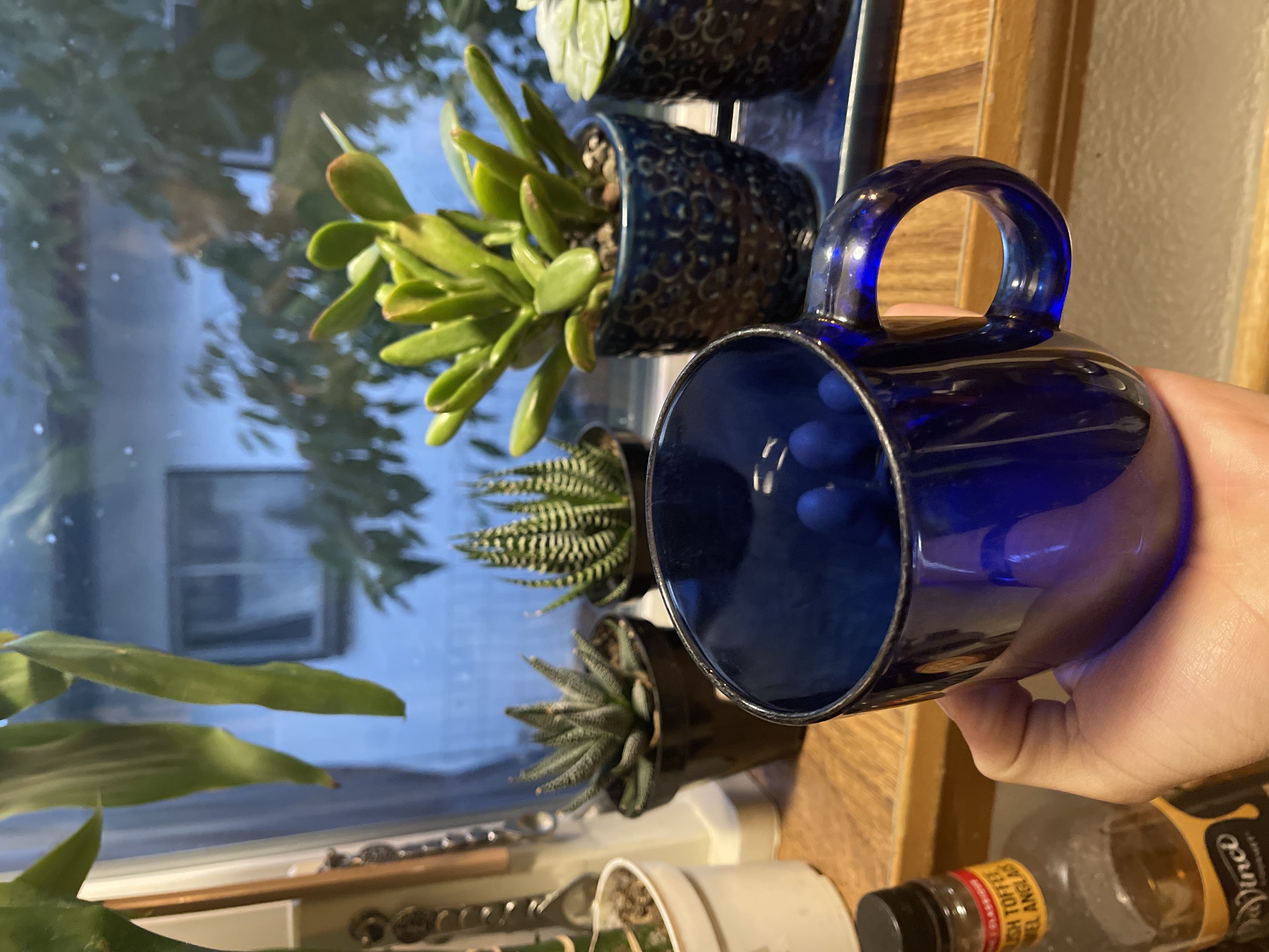 Show off your clumping succulents!