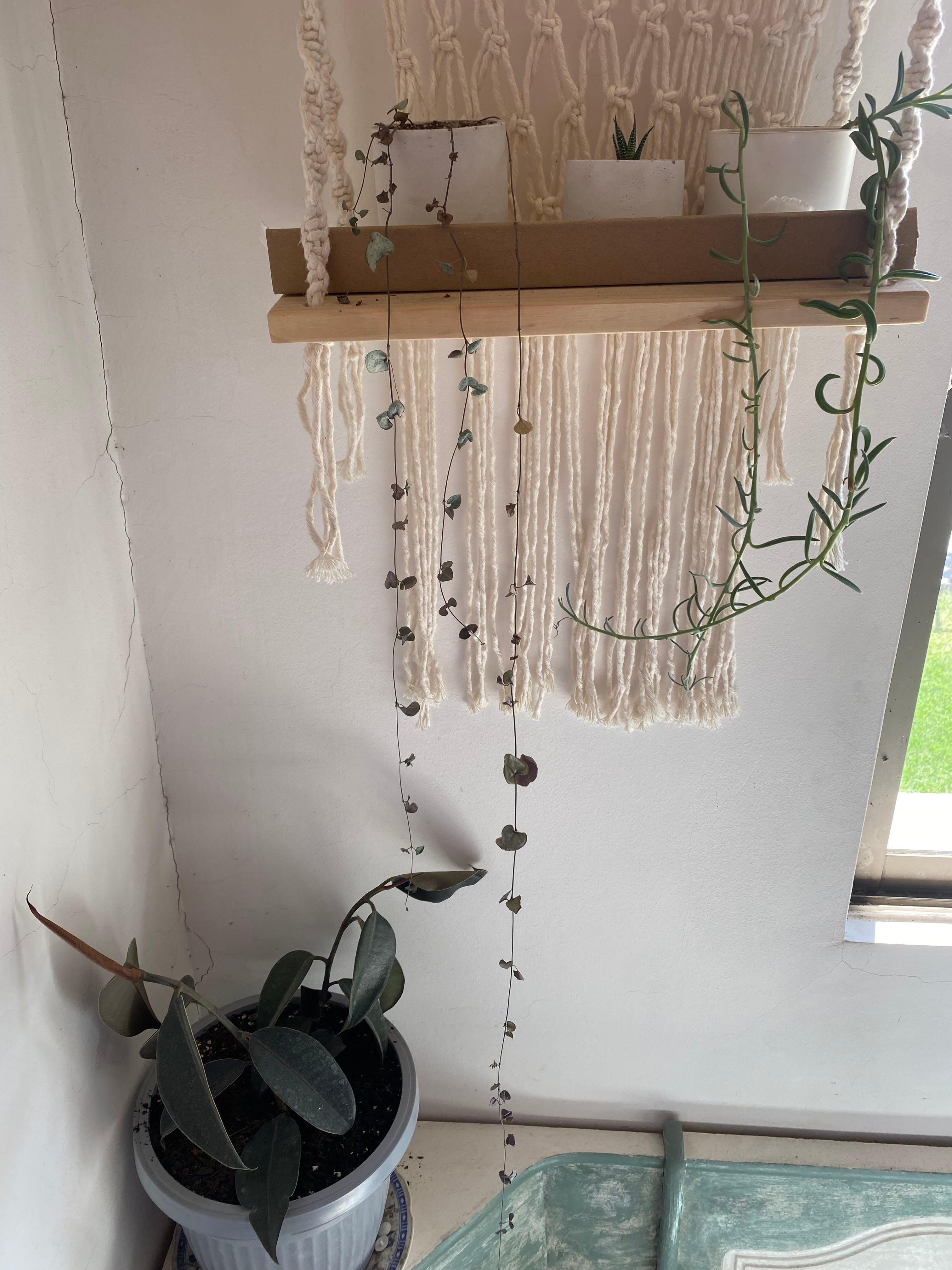 Propagating Chain of Hearts: The Ultimate Guide