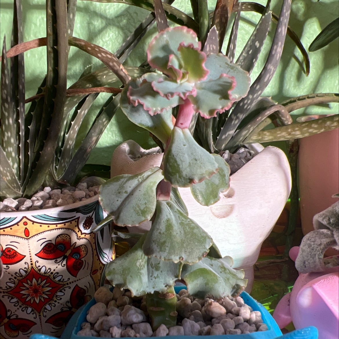 Ivysaur | A plant by @Lindsayface on Greg