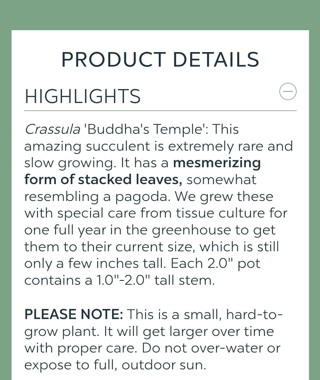 Emerson's neon bloom: a weekend surprise