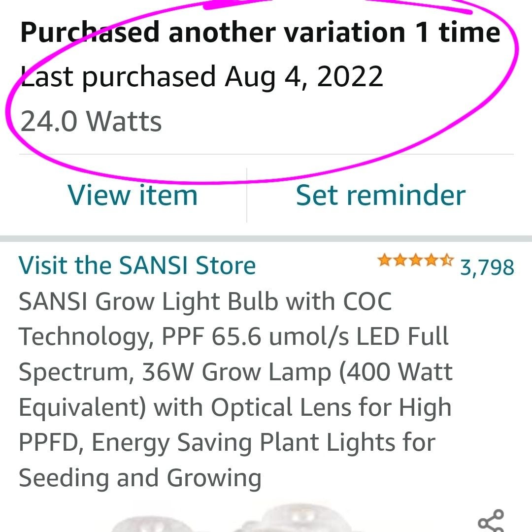 Emerson's neon bloom: a weekend surprise