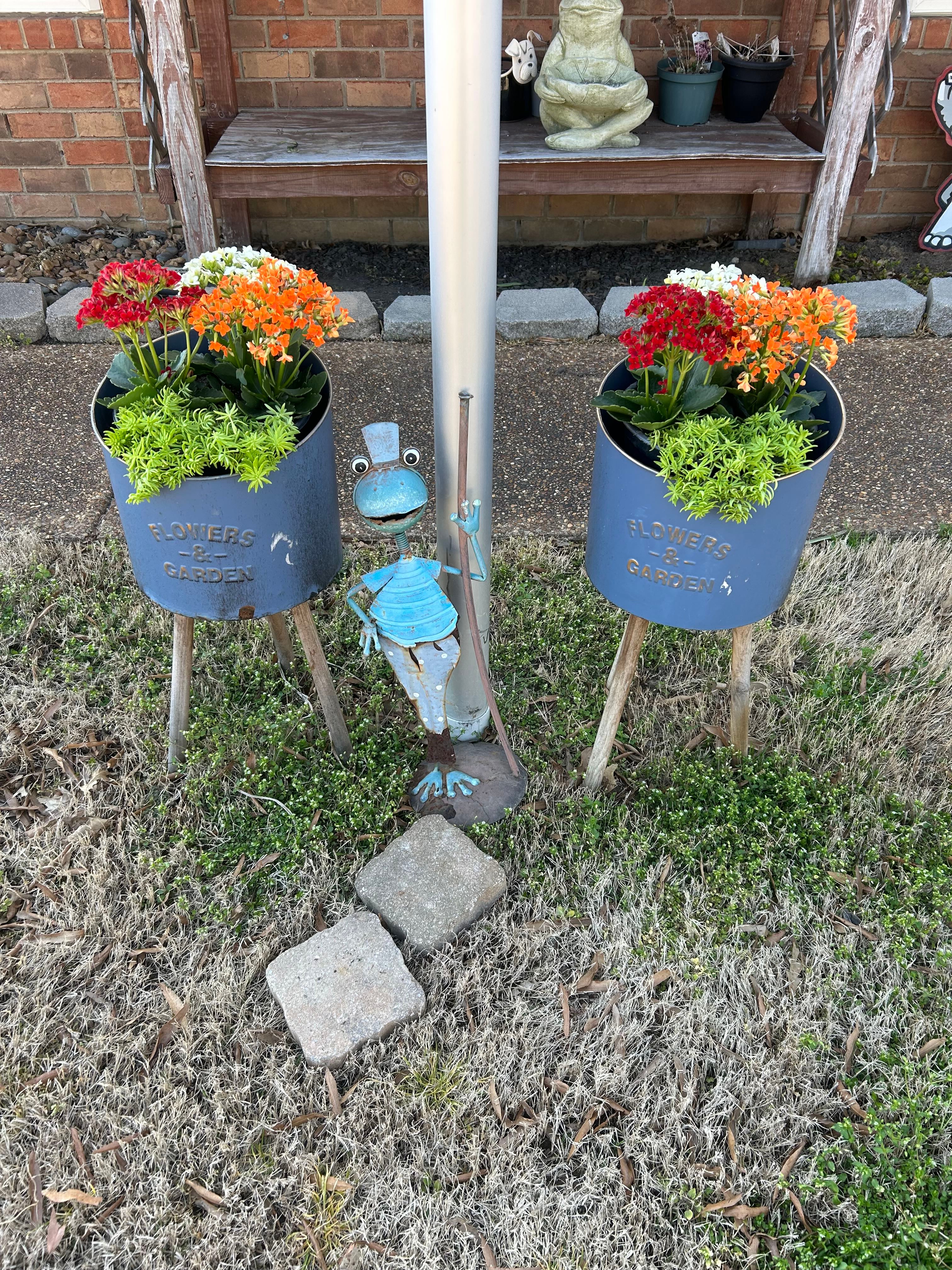 The Complete Big Leaf Kalanchoe Plant Care Guide: Water, Light & Beyond