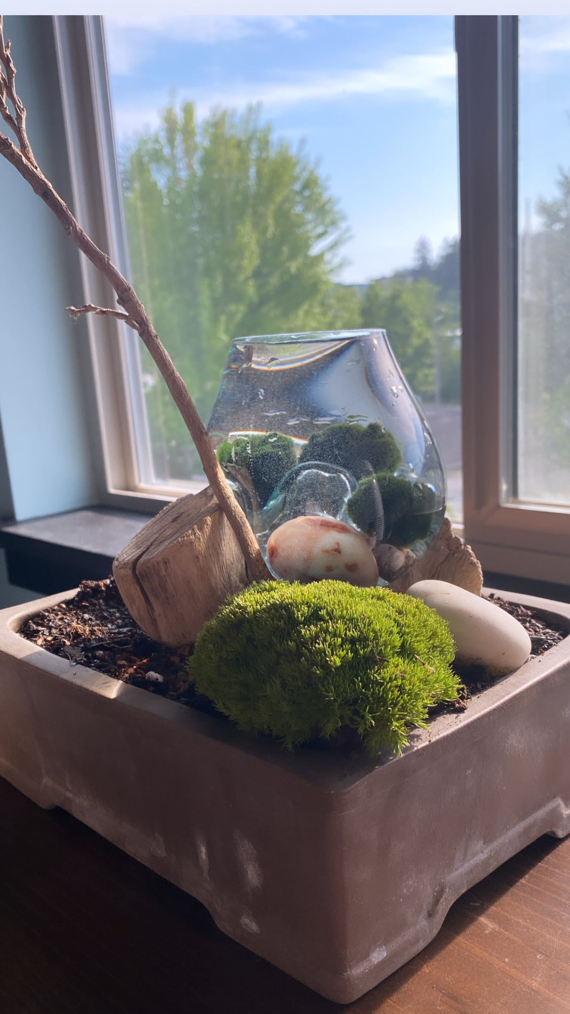 Common Marimo Problems