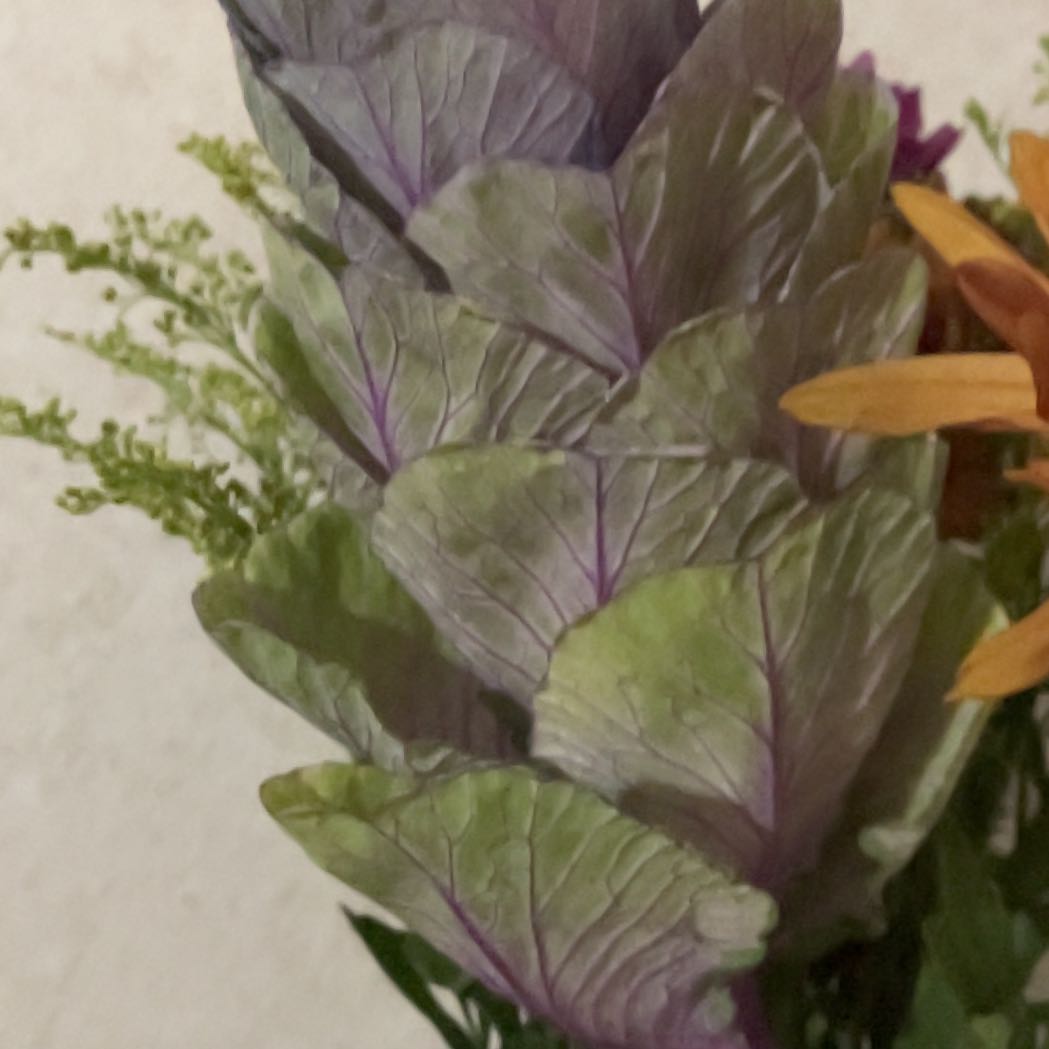 Leaf Erickson | A plant by @WhizCuttings on Greg