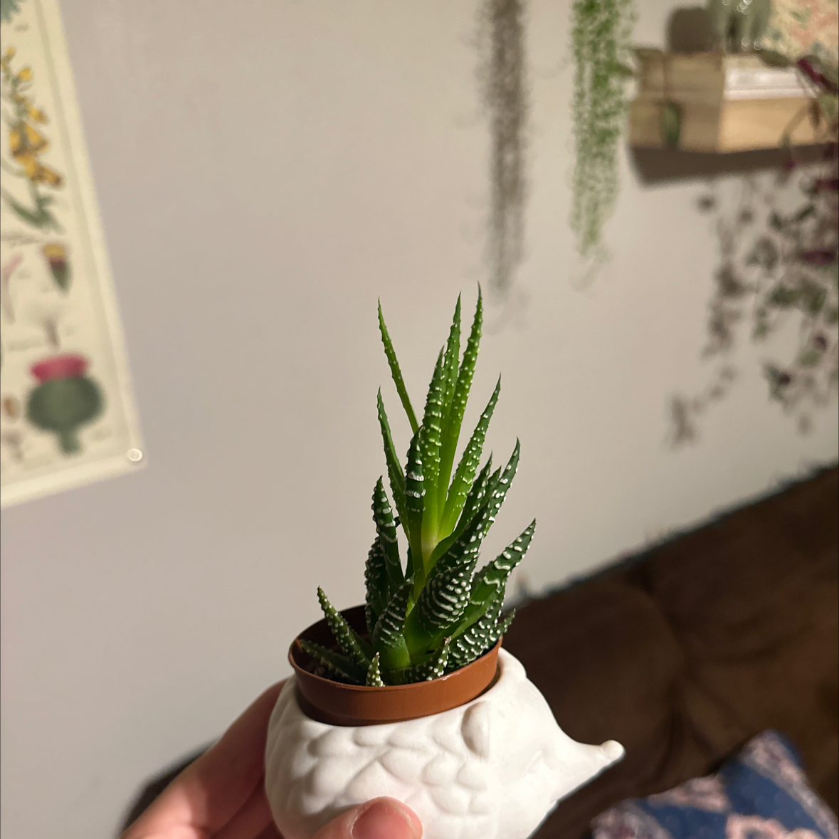 Bowser | A plant by @Ksailer7 on Greg