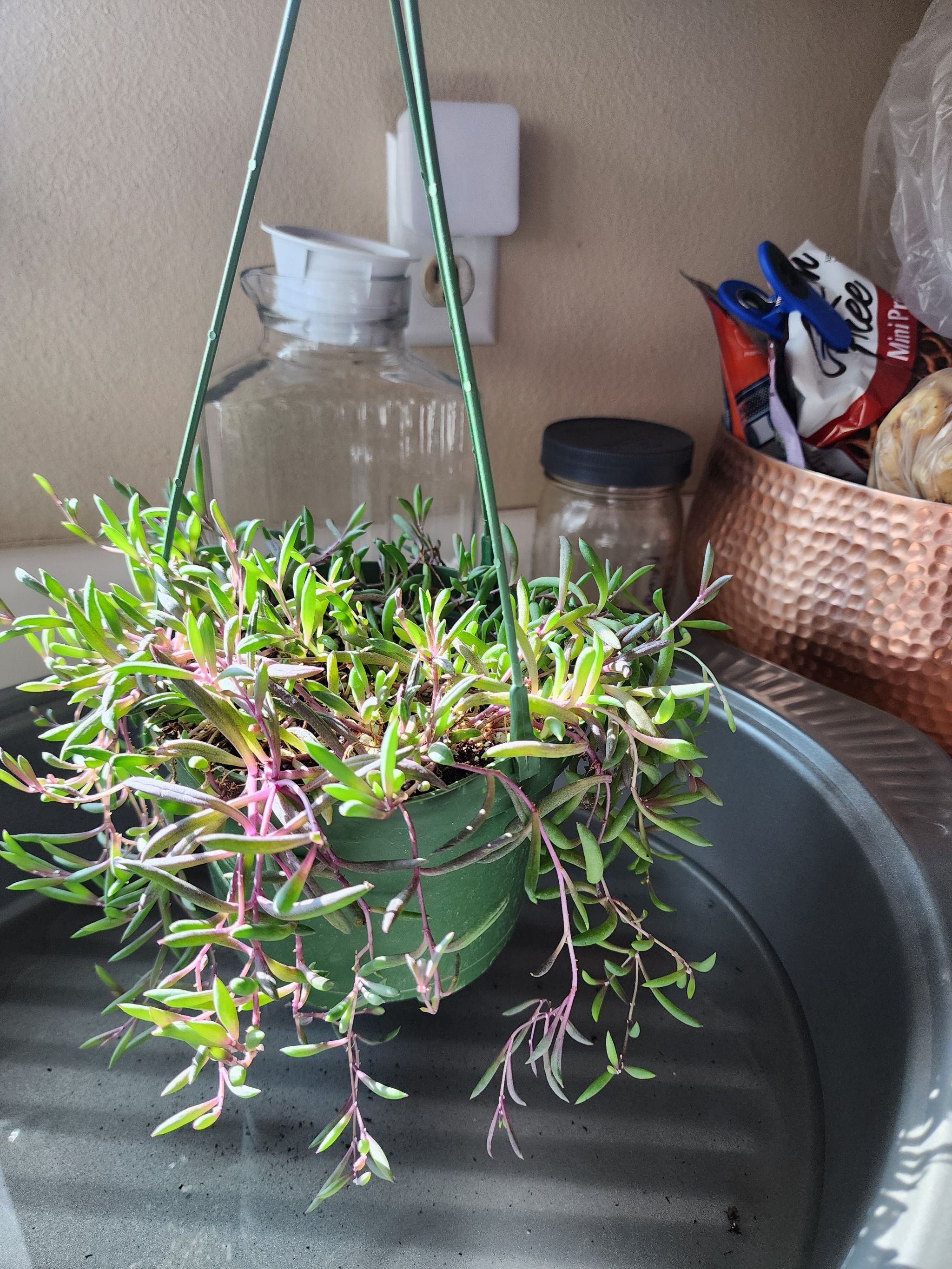 How to Propagate Your String of Pickles