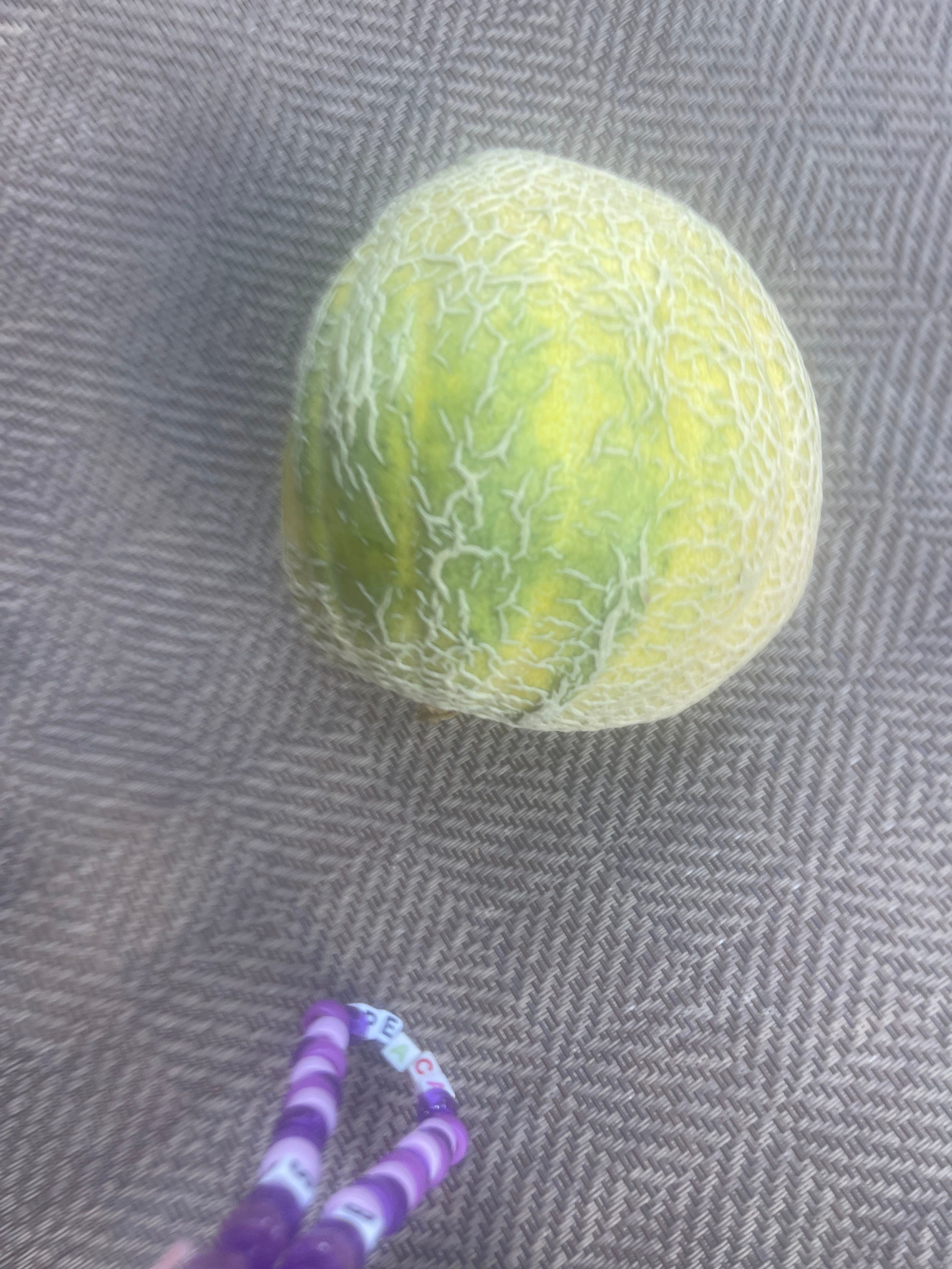 🍈 8 Tips for How to Plant Muskmelon