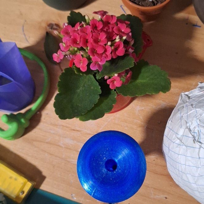 Nemo | A plant by @PatientRadish on Greg