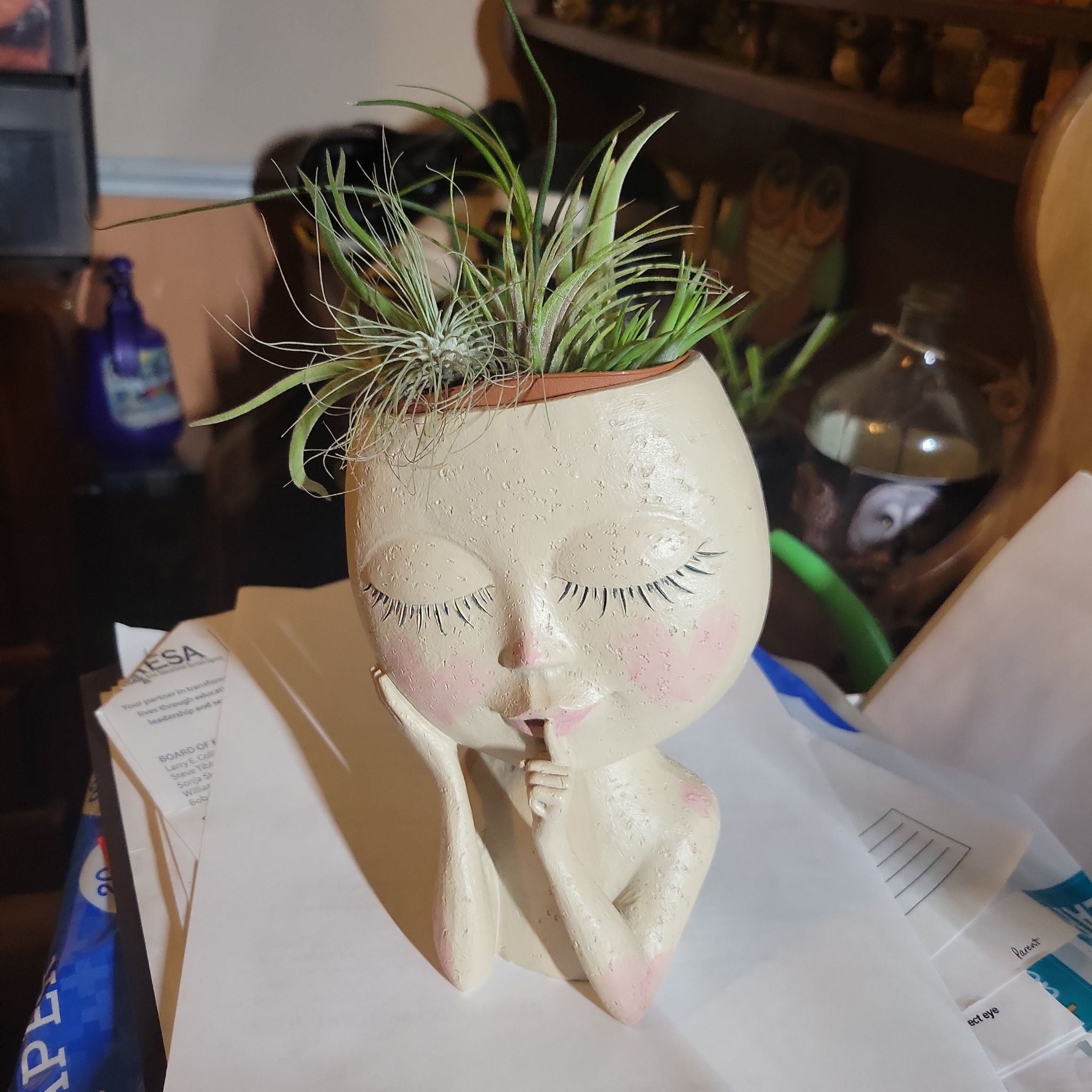 Captain Plant-it | A plant by @BeefyJellypalm on Greg