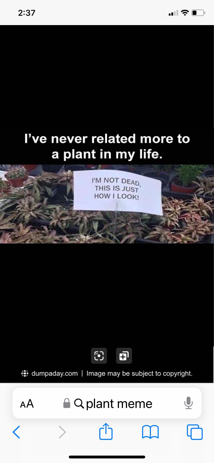 Plant Thief Memes