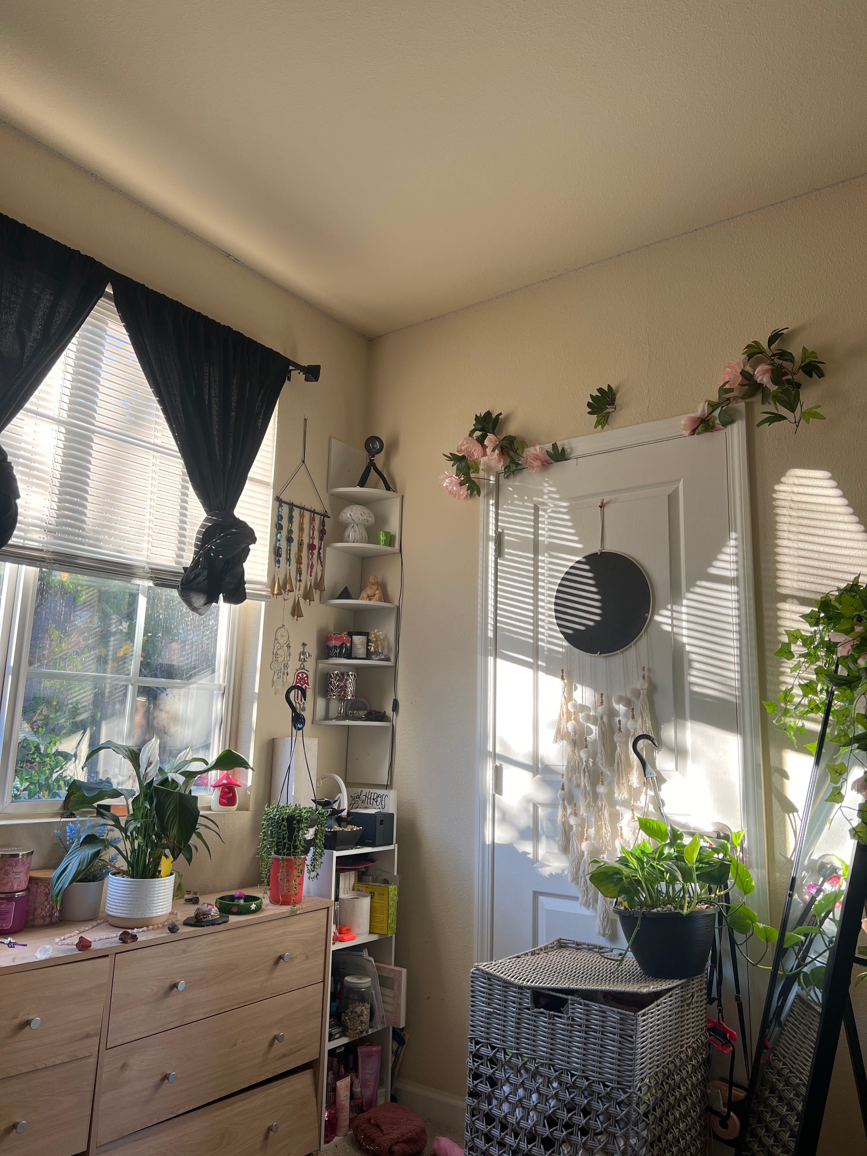 How to Care for String of Raindrops: Mastering Water, Sunlight & More