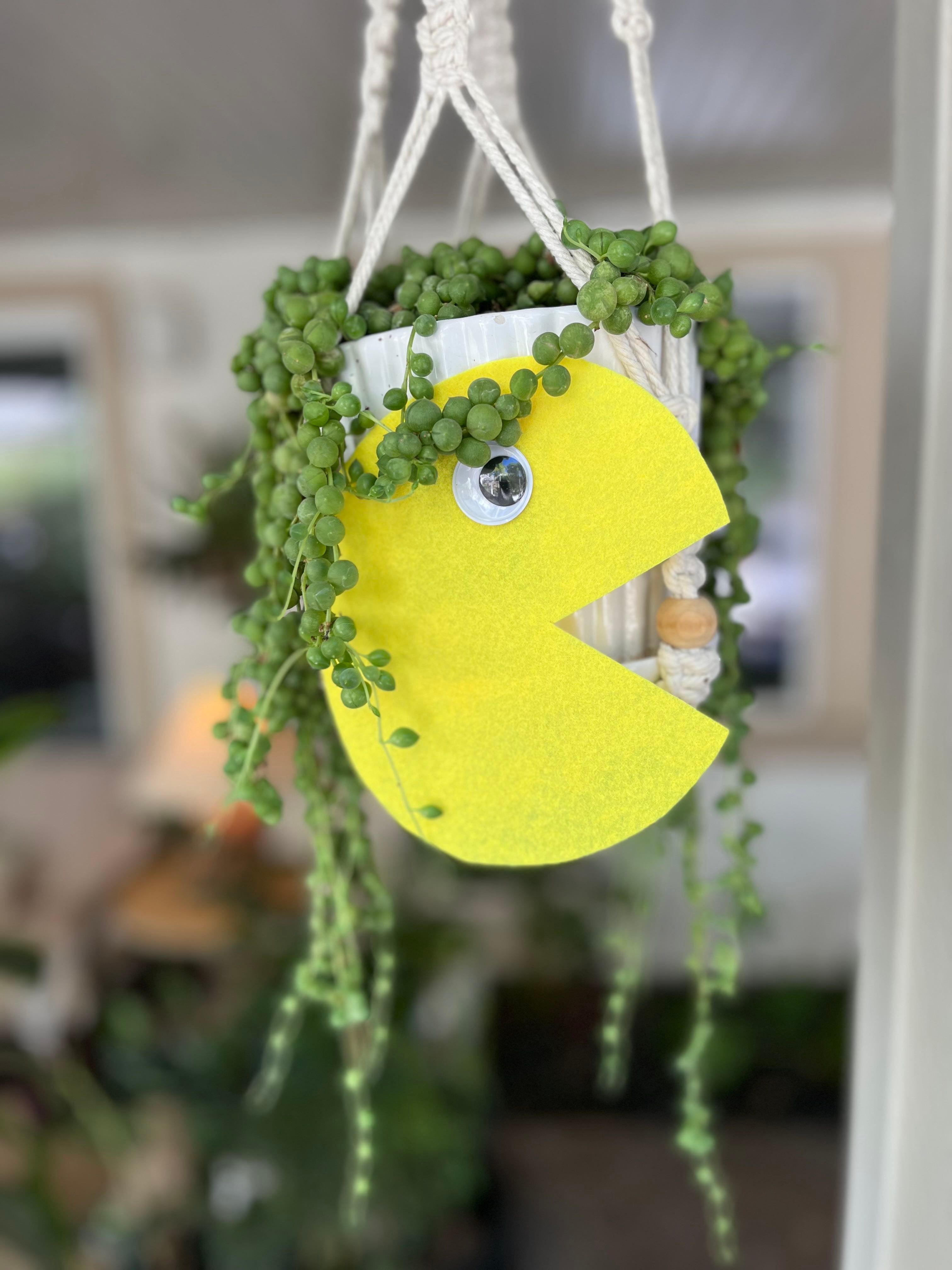 Pac-Man and ghosts with my plants