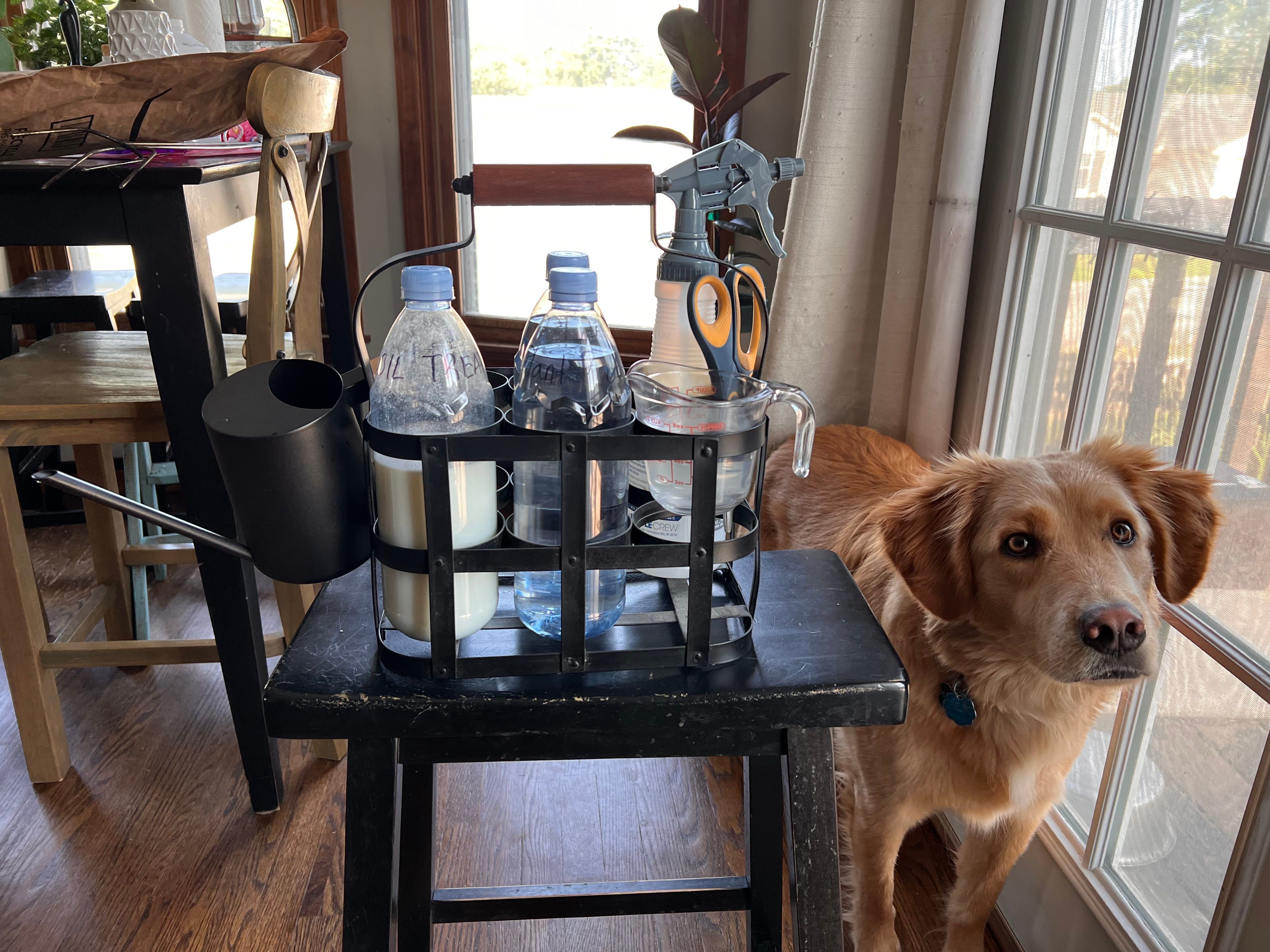 Introducing my portable hydration station