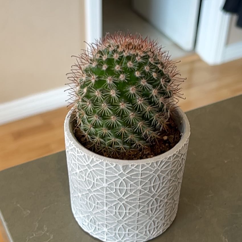 Spike | A plant by @HolyMotherfern on Greg