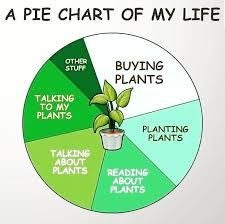 #plantmememonday So here's some memes for Plant Meme Mond...