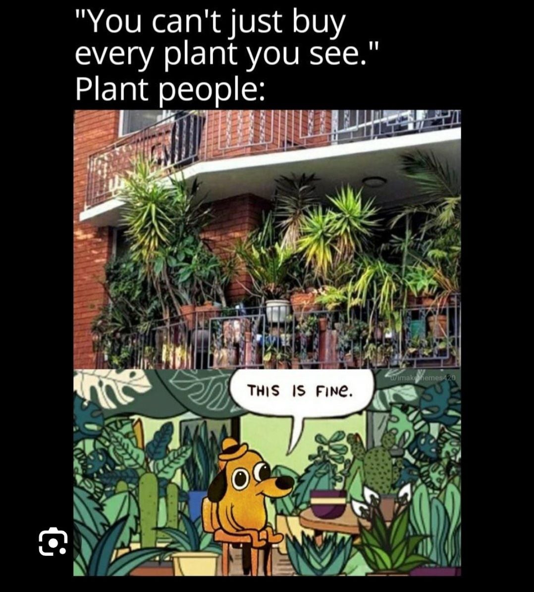 Plant Trees Memes