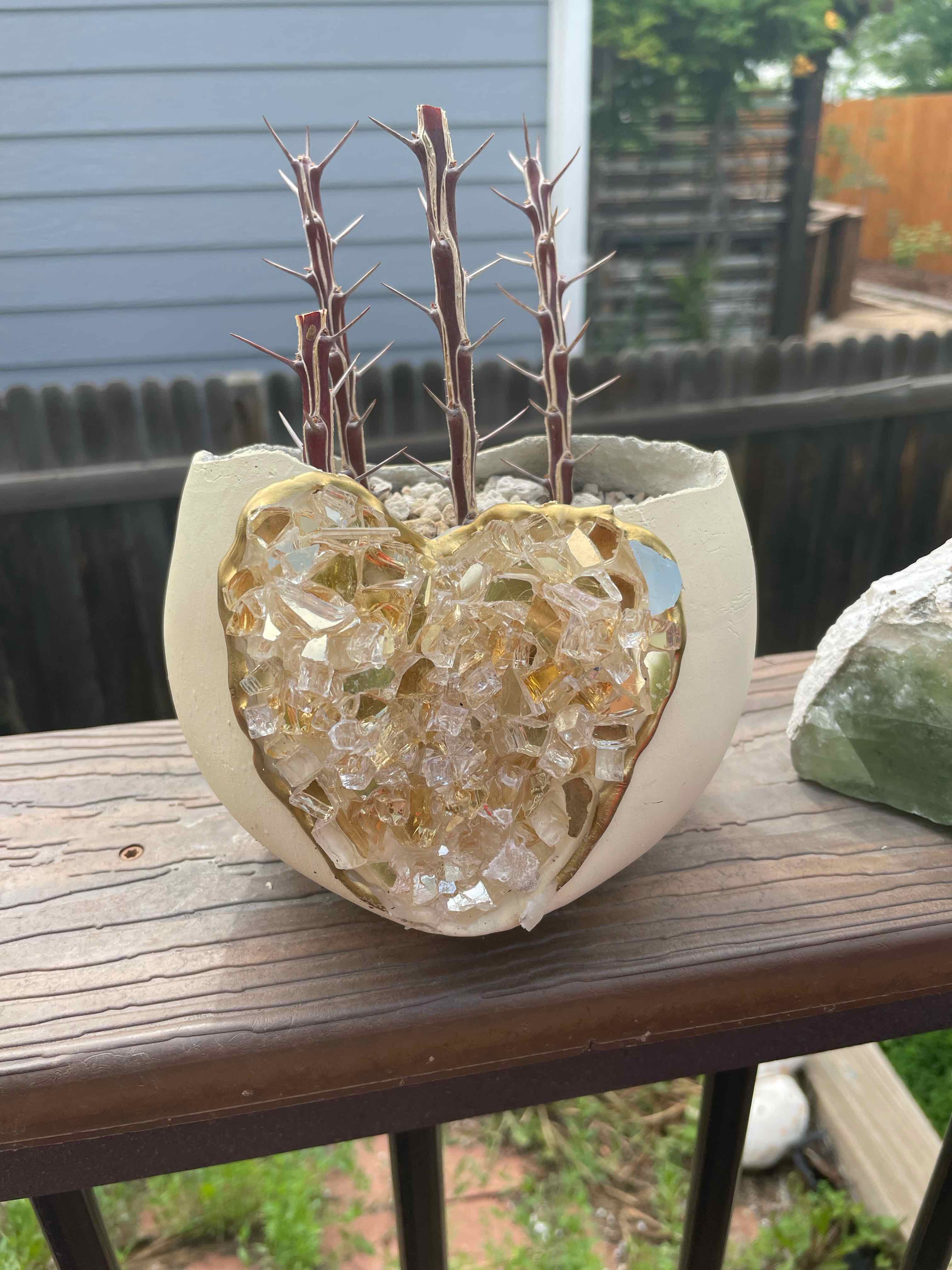 How to Prune Ocotillo