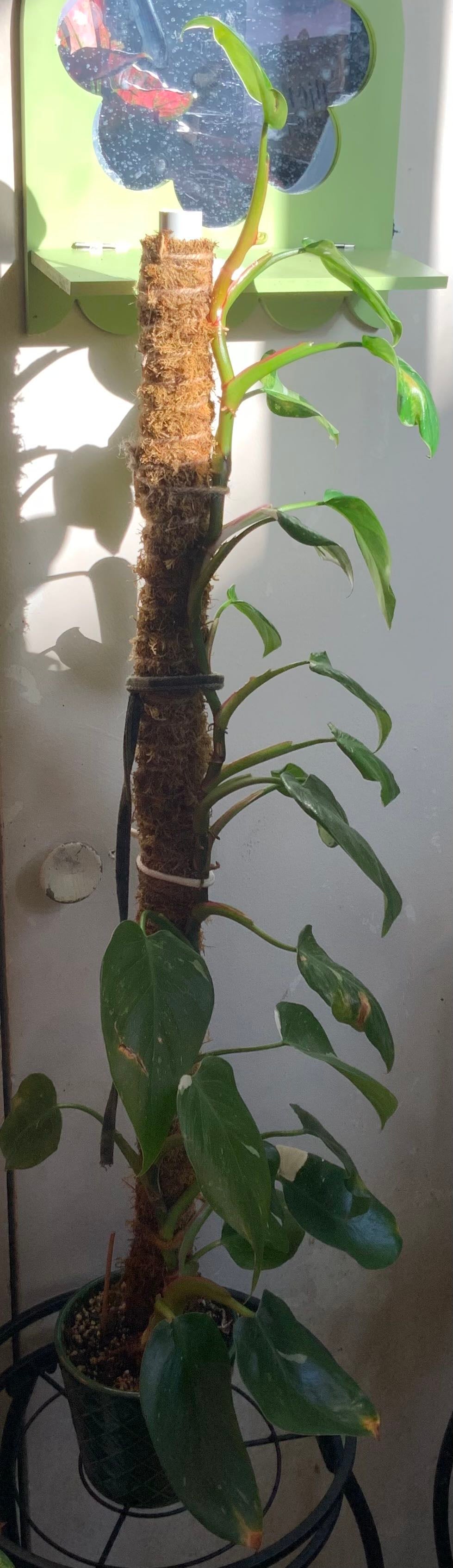 Happy Memorial Day Greg family and friends the Pretty Pri...