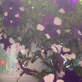 Leaf Erickson | A plant by @DinkumCaperbush on Greg