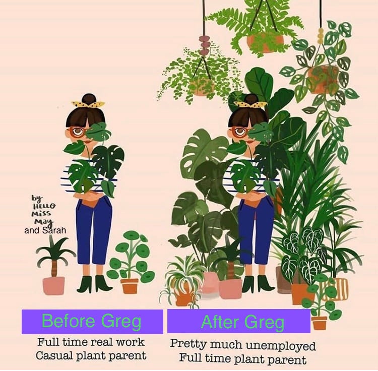 Ultimate Guide to Bigfoot Geranium 🦶