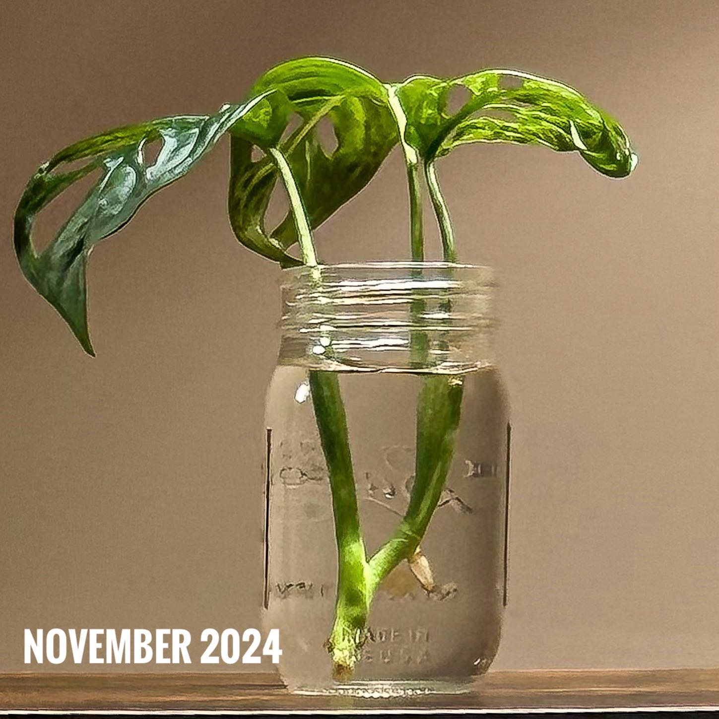 Awesome prop called “Pops”