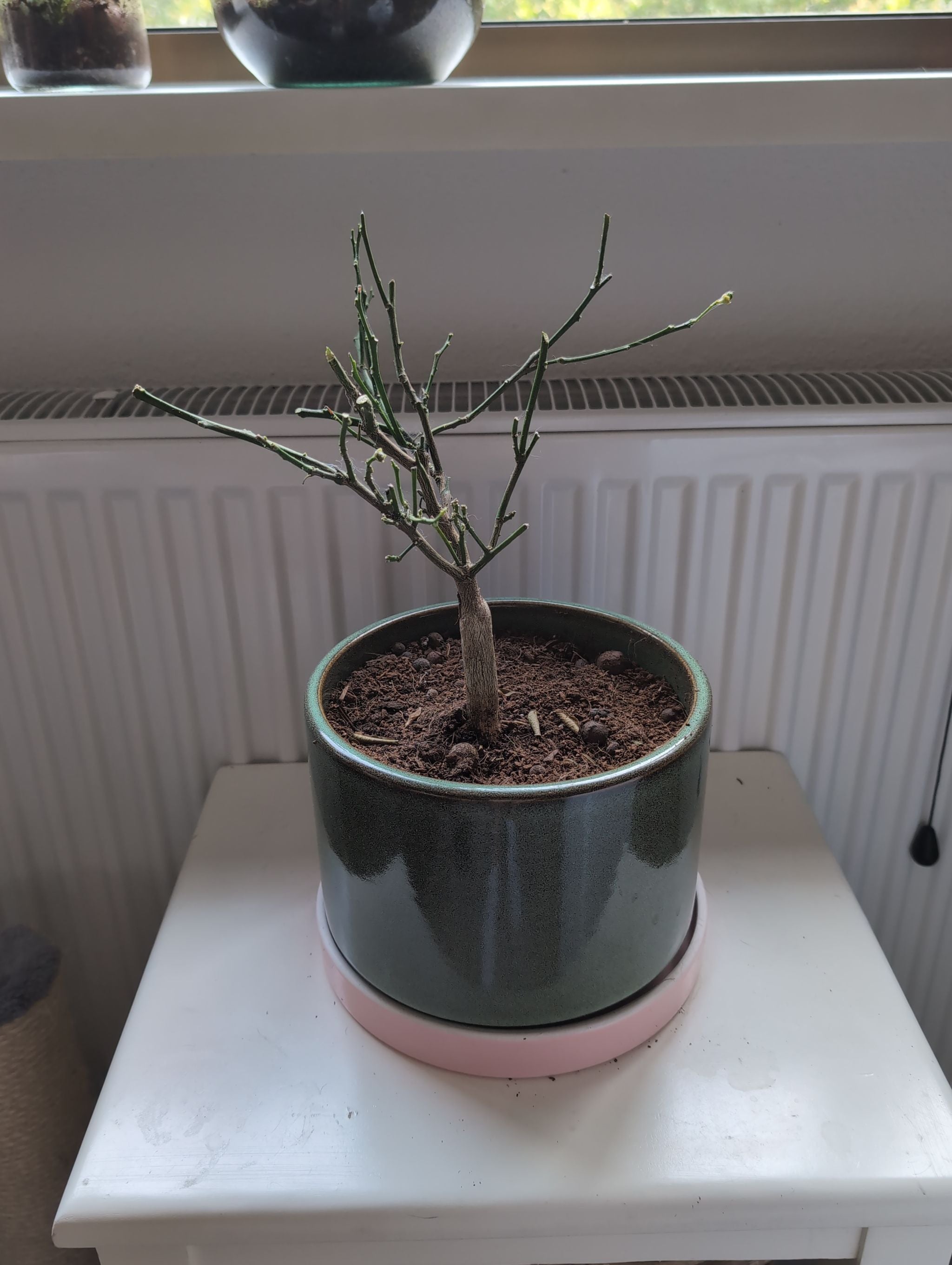 Is there something I can do?