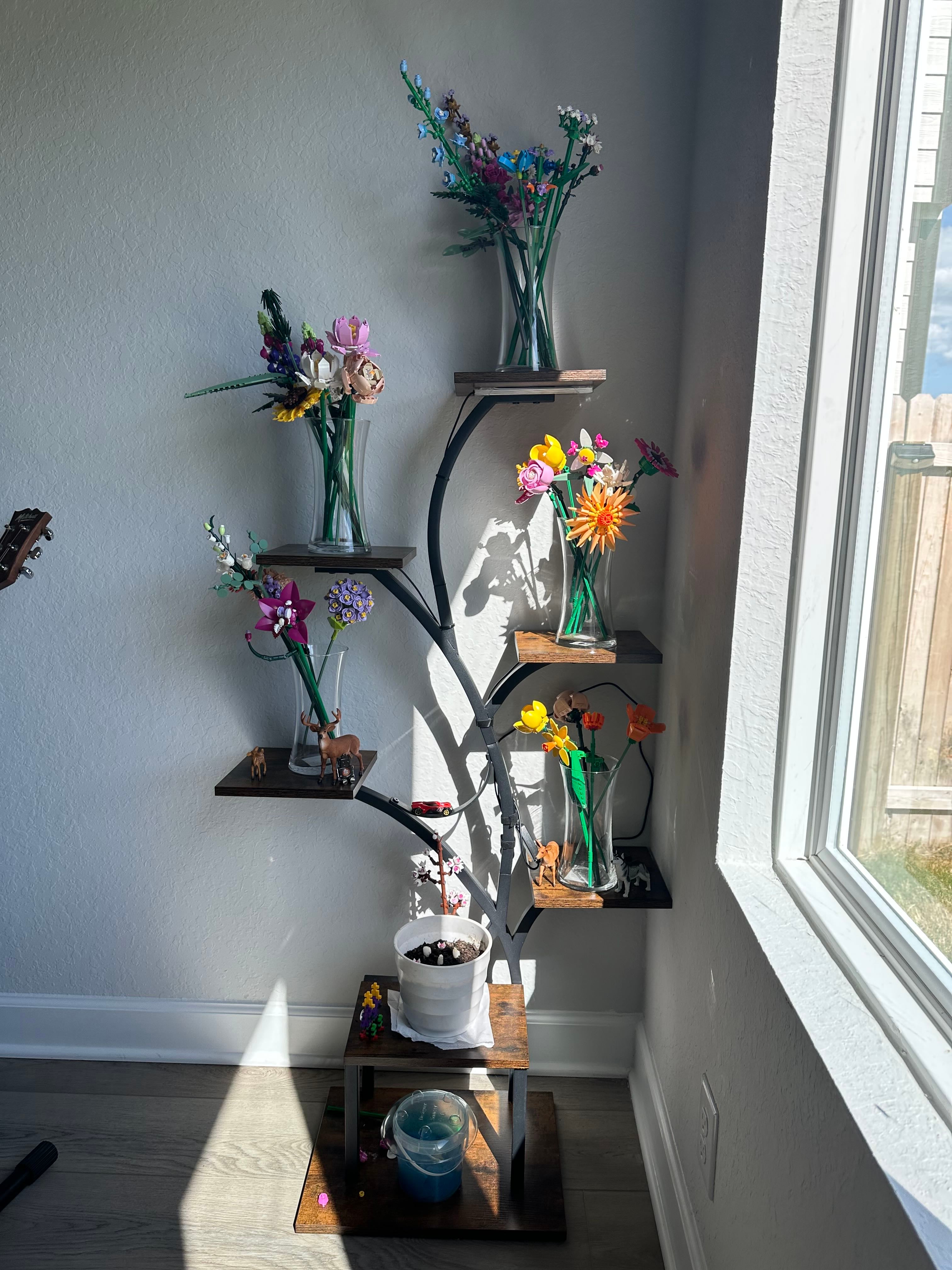 5 Factors Influencing Allium 'Millenium' Growth