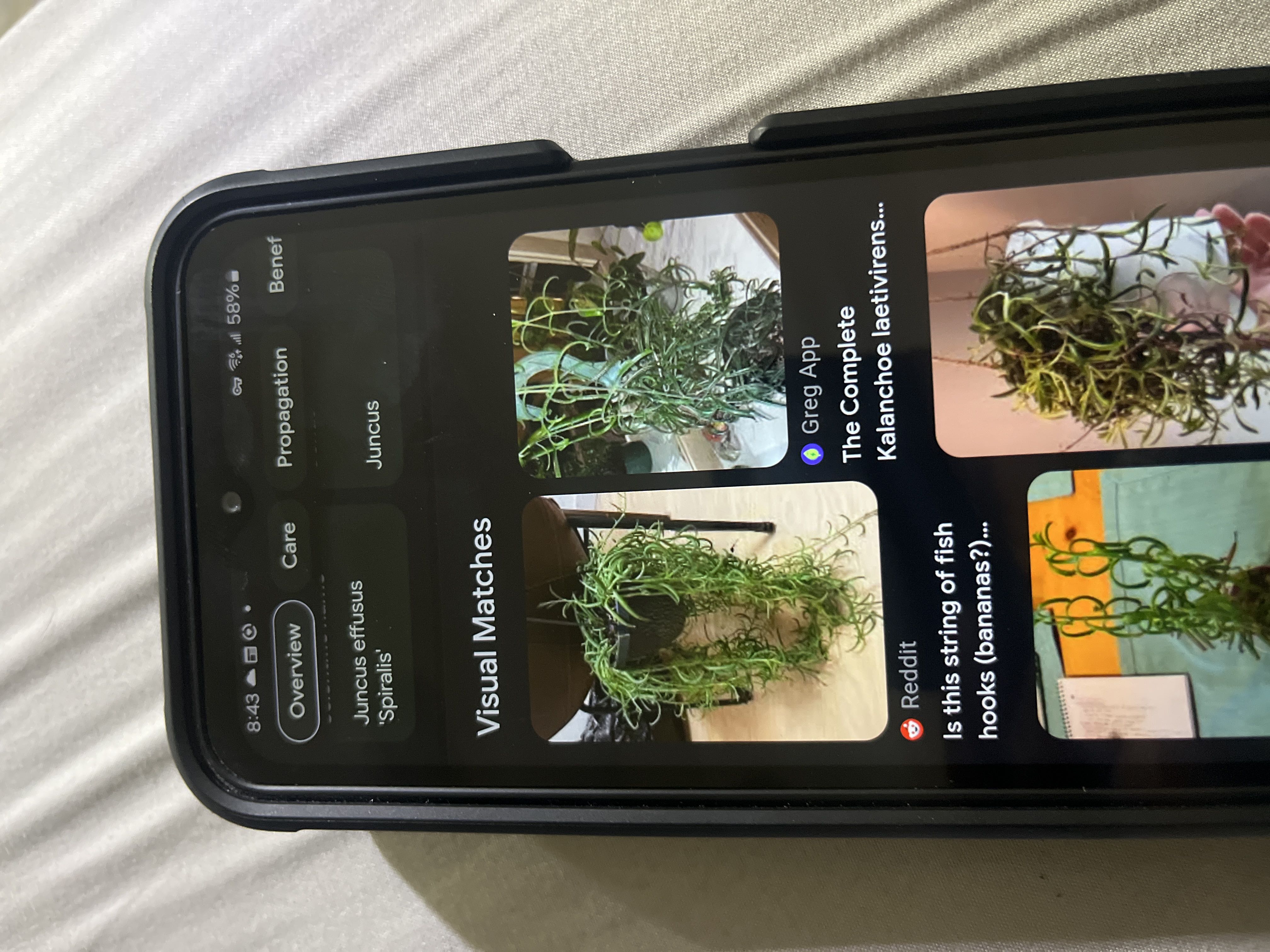 So does this mean my plant famous? that’s my plant on the...