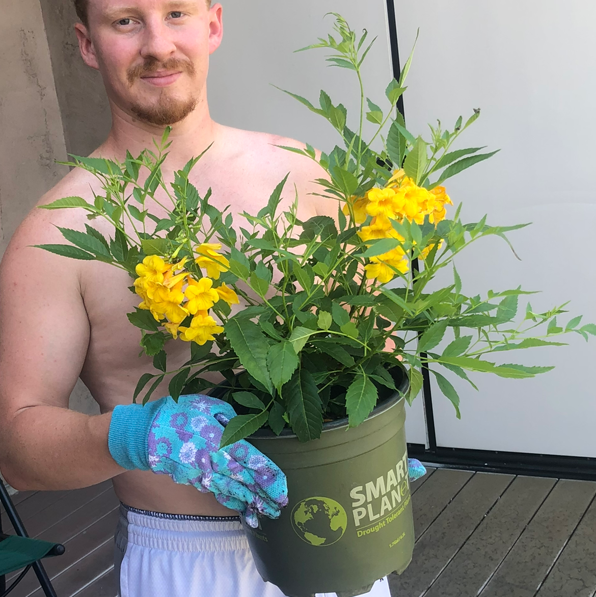 ️ How and When Should I Cut Back My Yellow Bells?