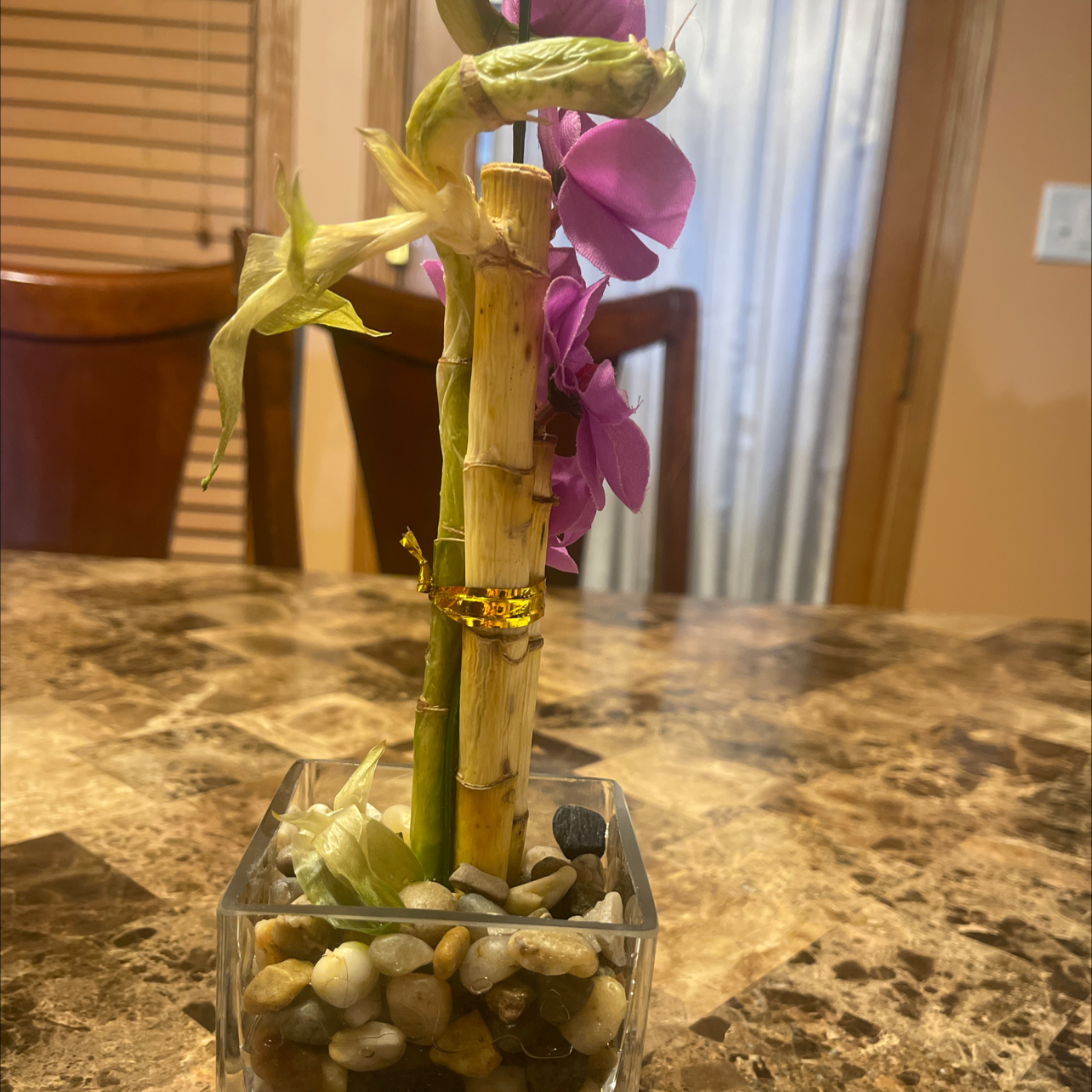 What Do I Do About bamboo orchid root rot?
